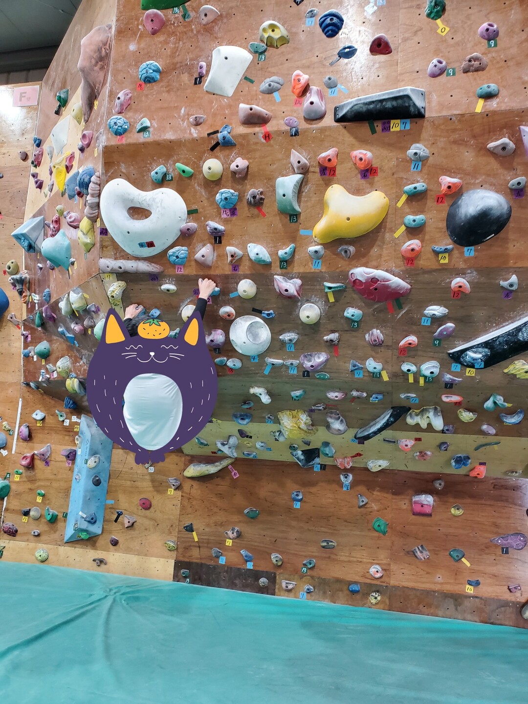 始めてのモーメントです。ボルダリングにチ... / 🍒sa-ki🍒さんのモーメント | YAMAP / ヤマップ