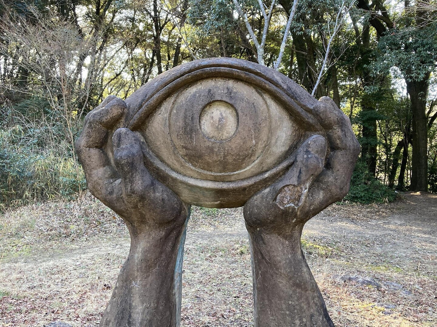 高根山・山星山（愛知県瀬戸市） / NORYさんの山星山・高根山の活動データ | YAMAP / ヤマップ