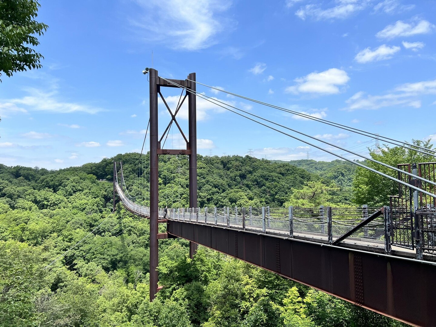 星のブランコ / kobuta さんの交野山・国見山の活動データ | YAMAP / ヤマップ