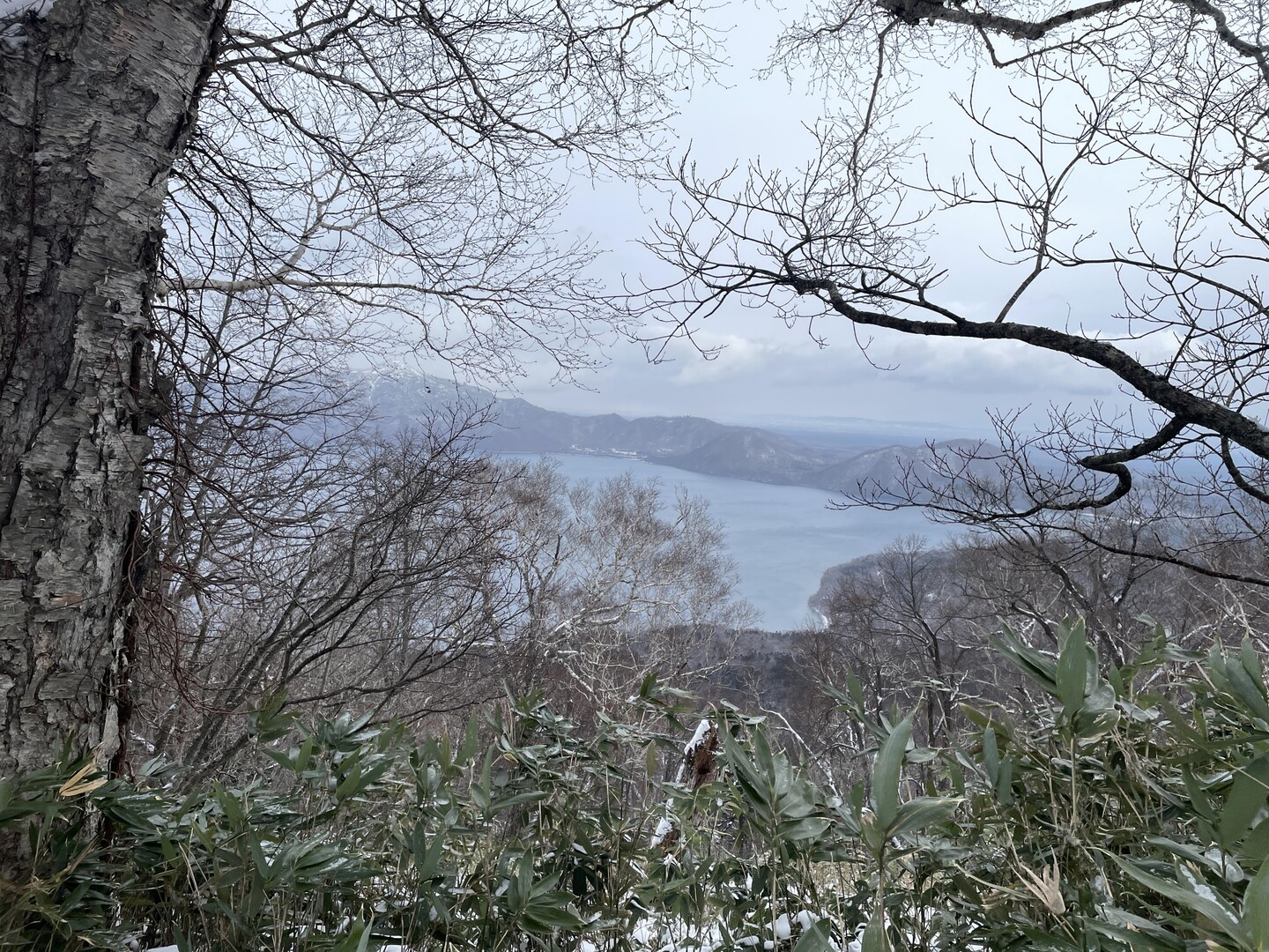 【敗退】風不死岳／北海道千歳市 / sk-hugoさんの登山の活動データ | YAMAP / ヤマップ