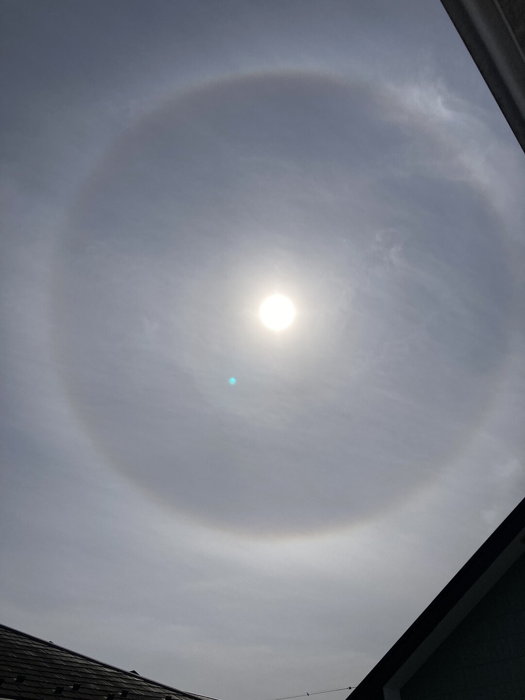 こんにちは☀️ ハロ出てました ️ / tomatoさんのモーメント | YAMAP / ヤマップ