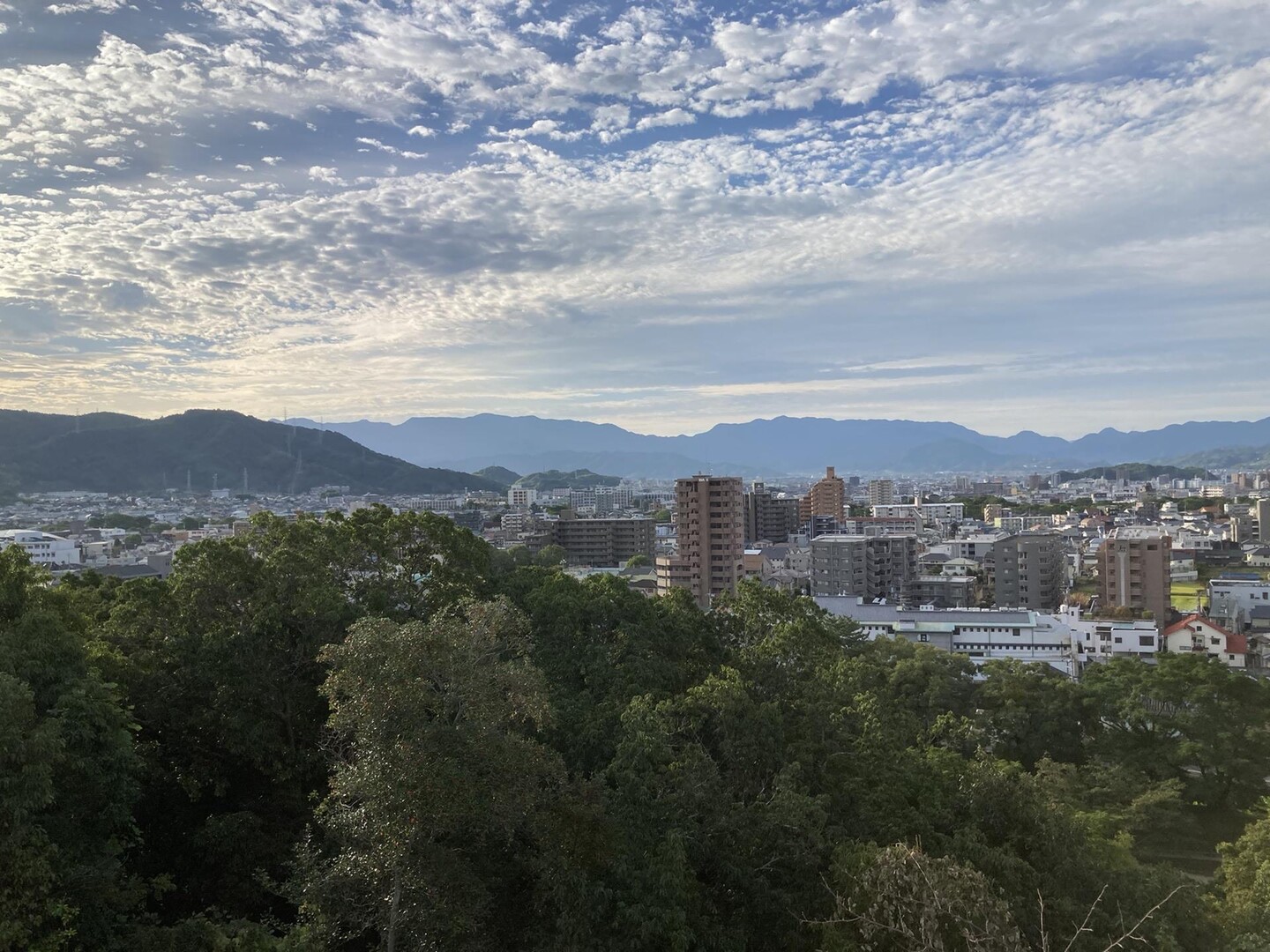 朝活、湯築山 / Ypaaさんの四国遍路その15の活動データ | YAMAP / ヤマップ