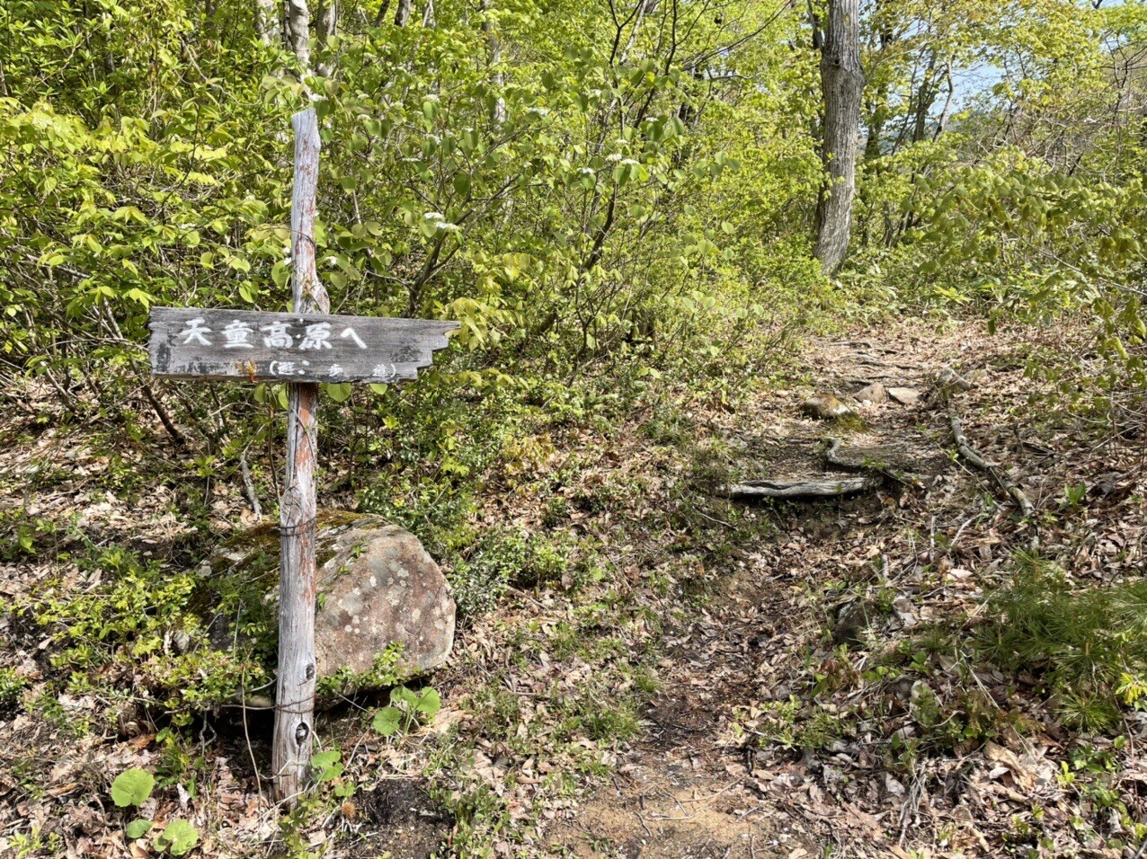 DDT-EXさんの投稿したフィールドメモ | YAMAP / ヤマップ