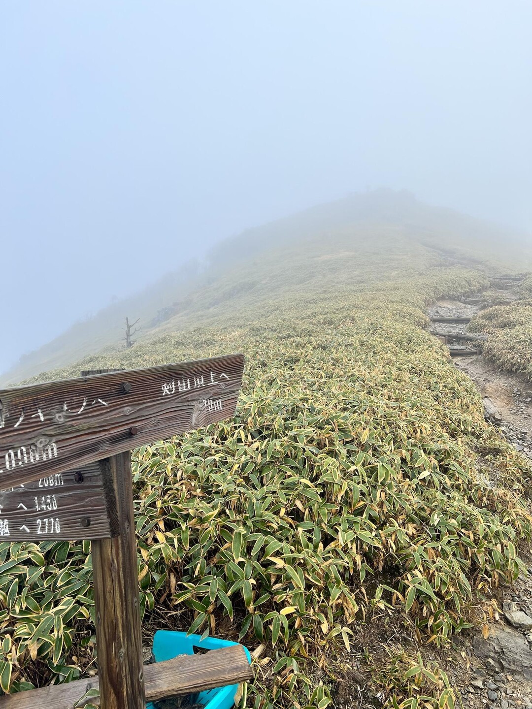 次郎笈・剣山 / bibiさんの剣山の活動データ | YAMAP / ヤマップ