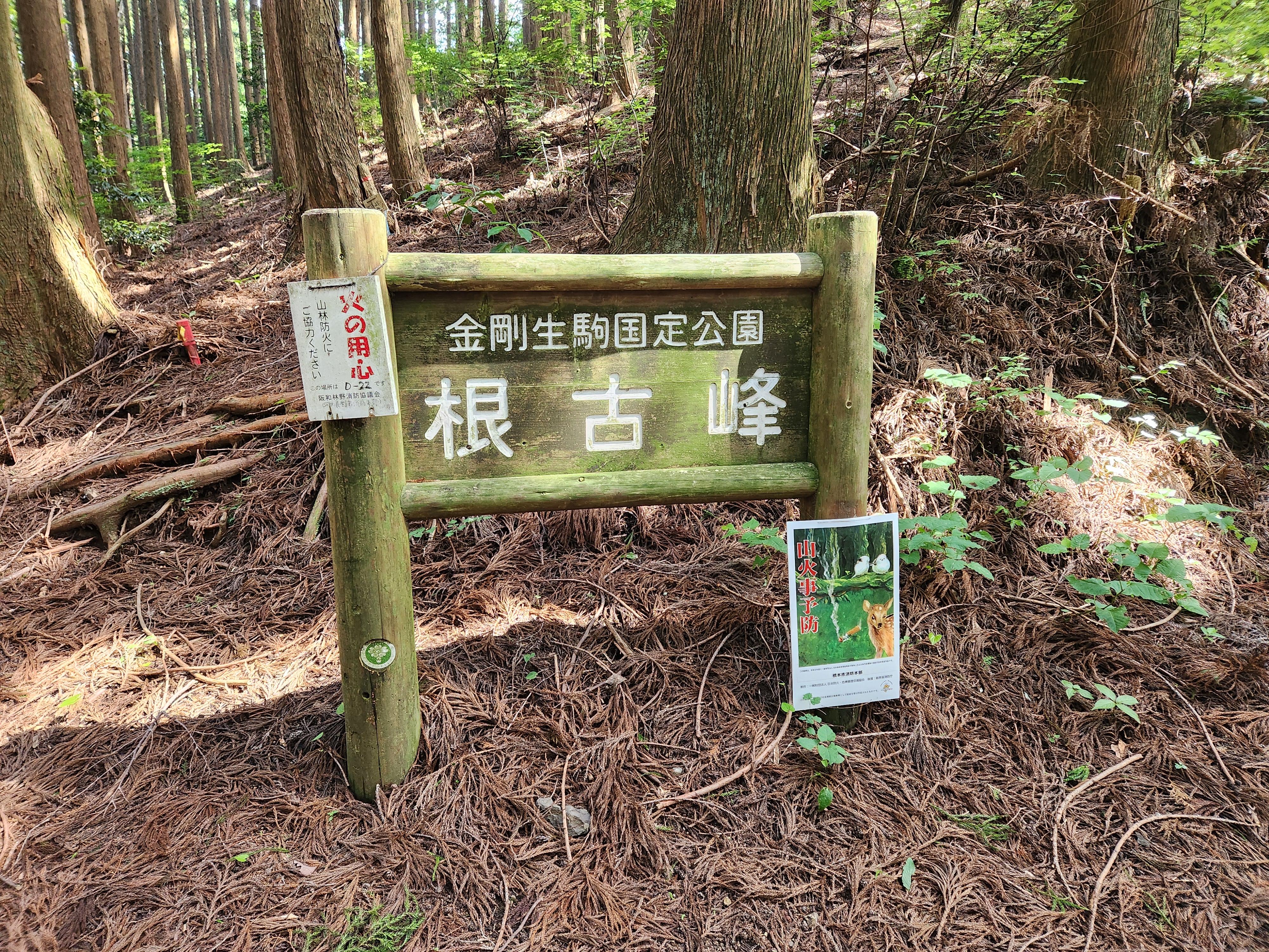 滝畑～根古峰 / COCOさんの岩湧山・一徳防山・三石山の活動データ | YAMAP / ヤマップ