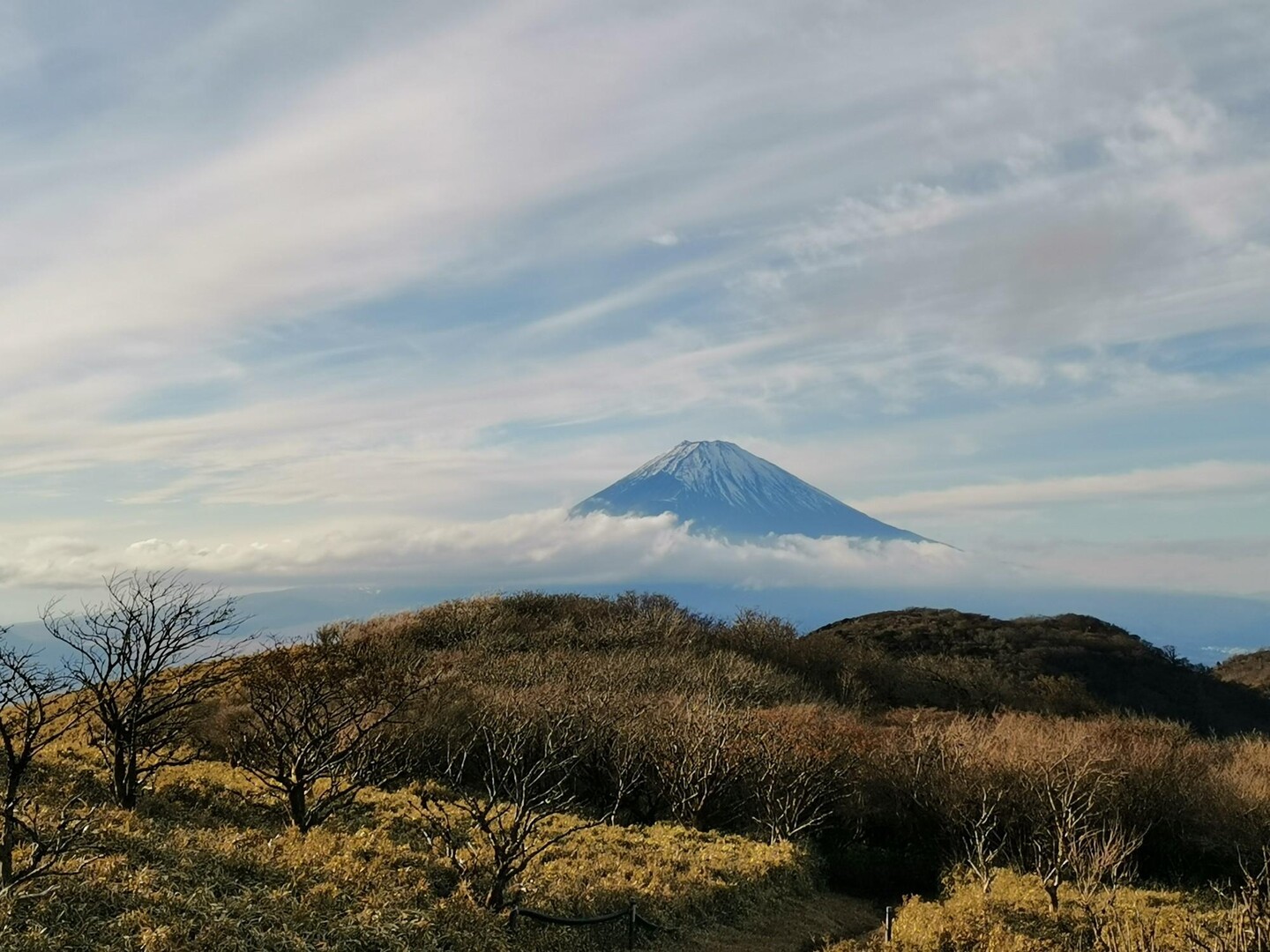 明けましておめでとうございます。今年は高... / KODAさんのモーメント | YAMAP / ヤマップ