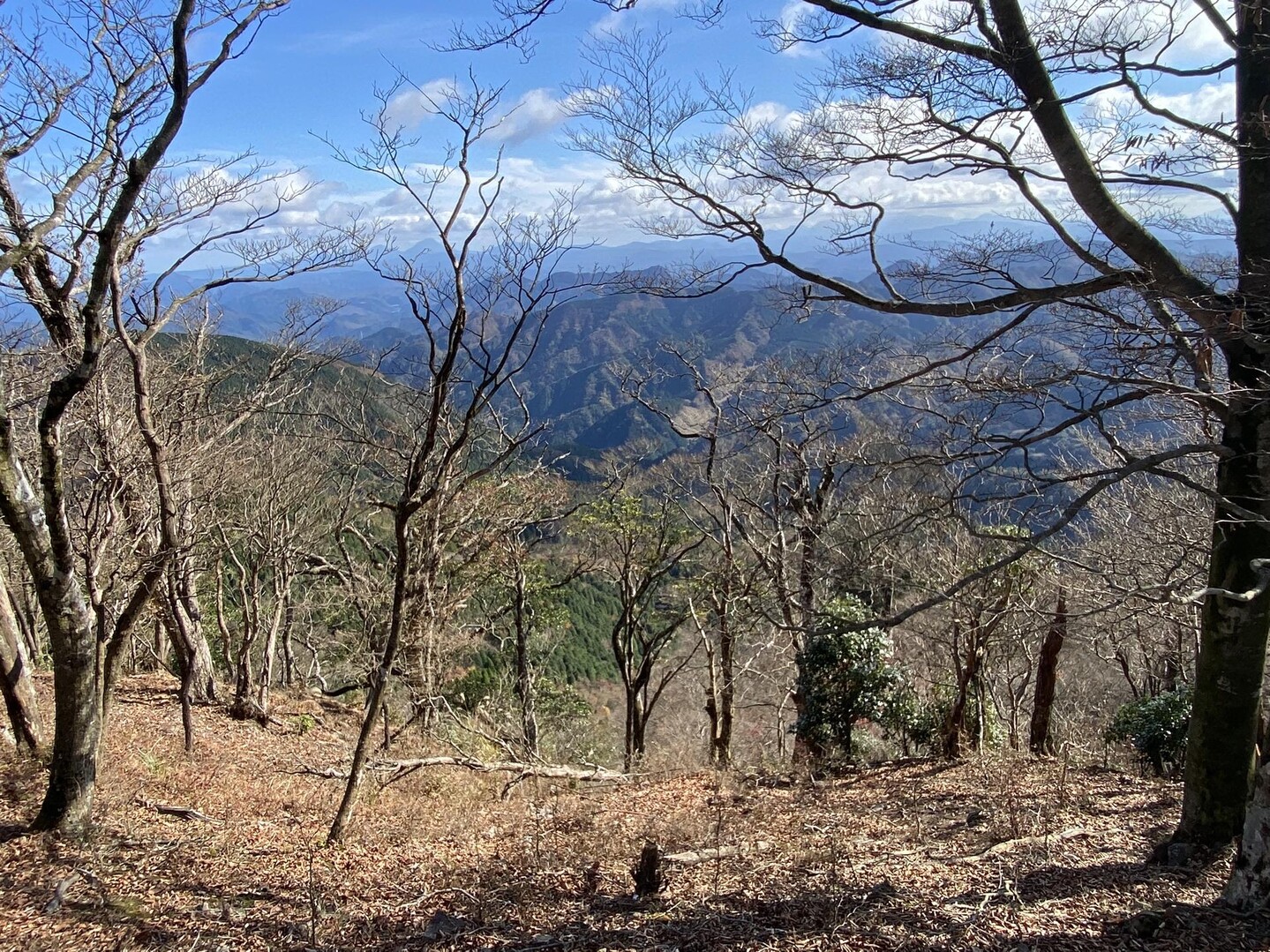 頑張った鎖場⛓犬ヶ岳 / Ycoさんの犬ヶ岳・求菩提山の活動データ | YAMAP / ヤマップ