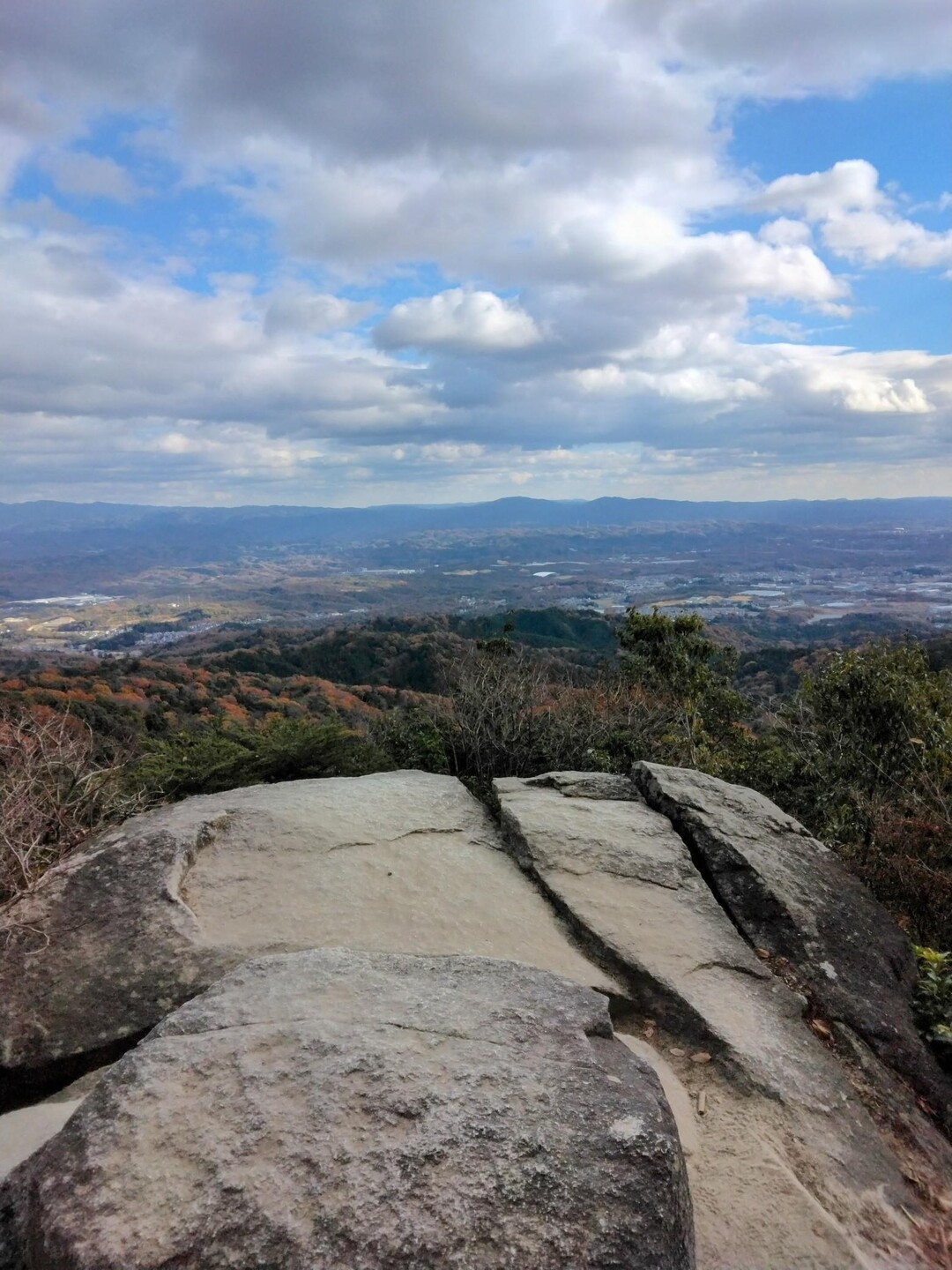(301)猿投山47(ヤマザクラコースで子熊見かけた情報⁉️) / Kazz1950さんの猿投山・物見山の活動データ | YAMAP / ヤマップ