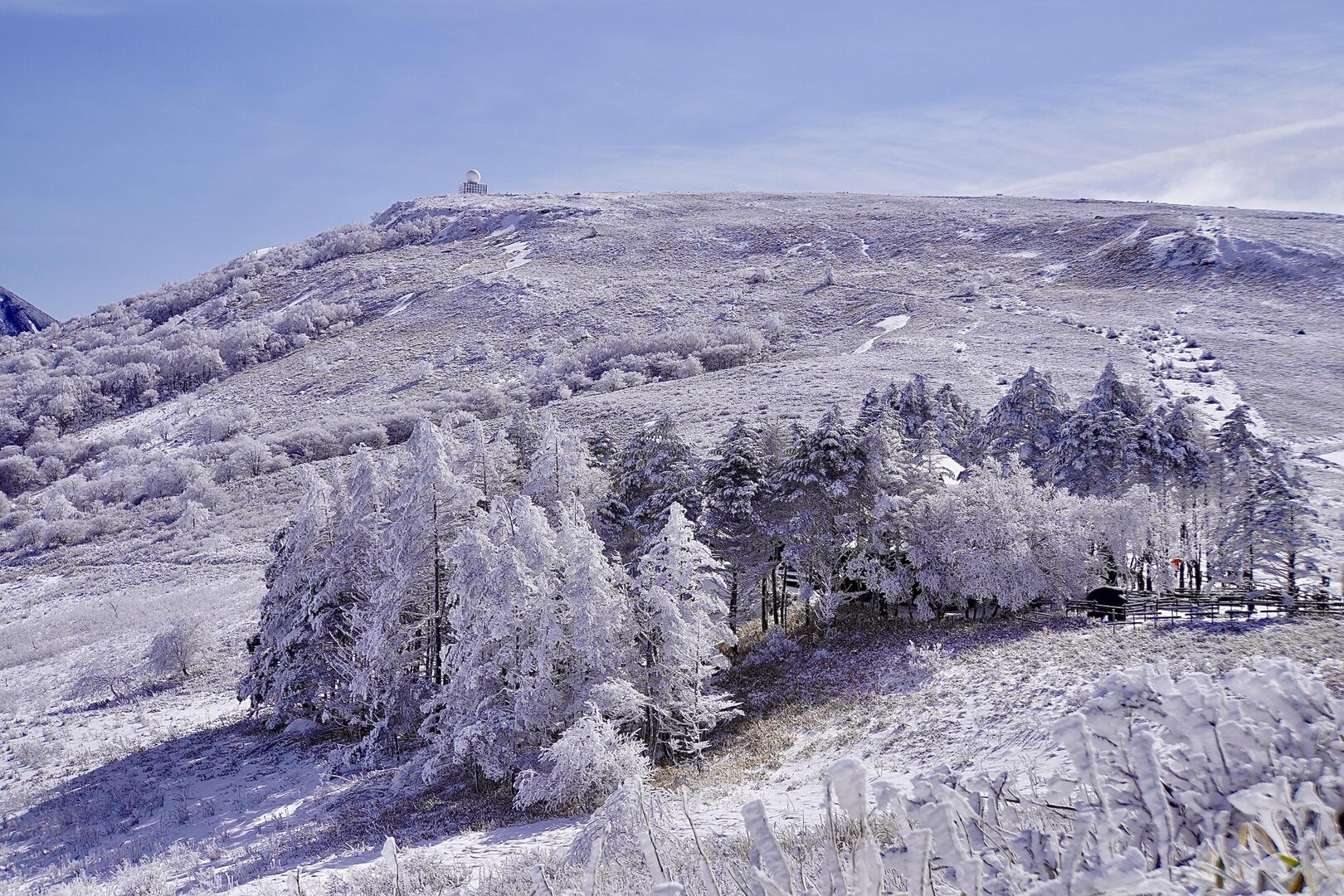 霧ヶ峰 〜今年も敗退 〜 / mikiさんの霧ヶ峰・車山・大笹峰の活動データ | YAMAP / ヤマップ