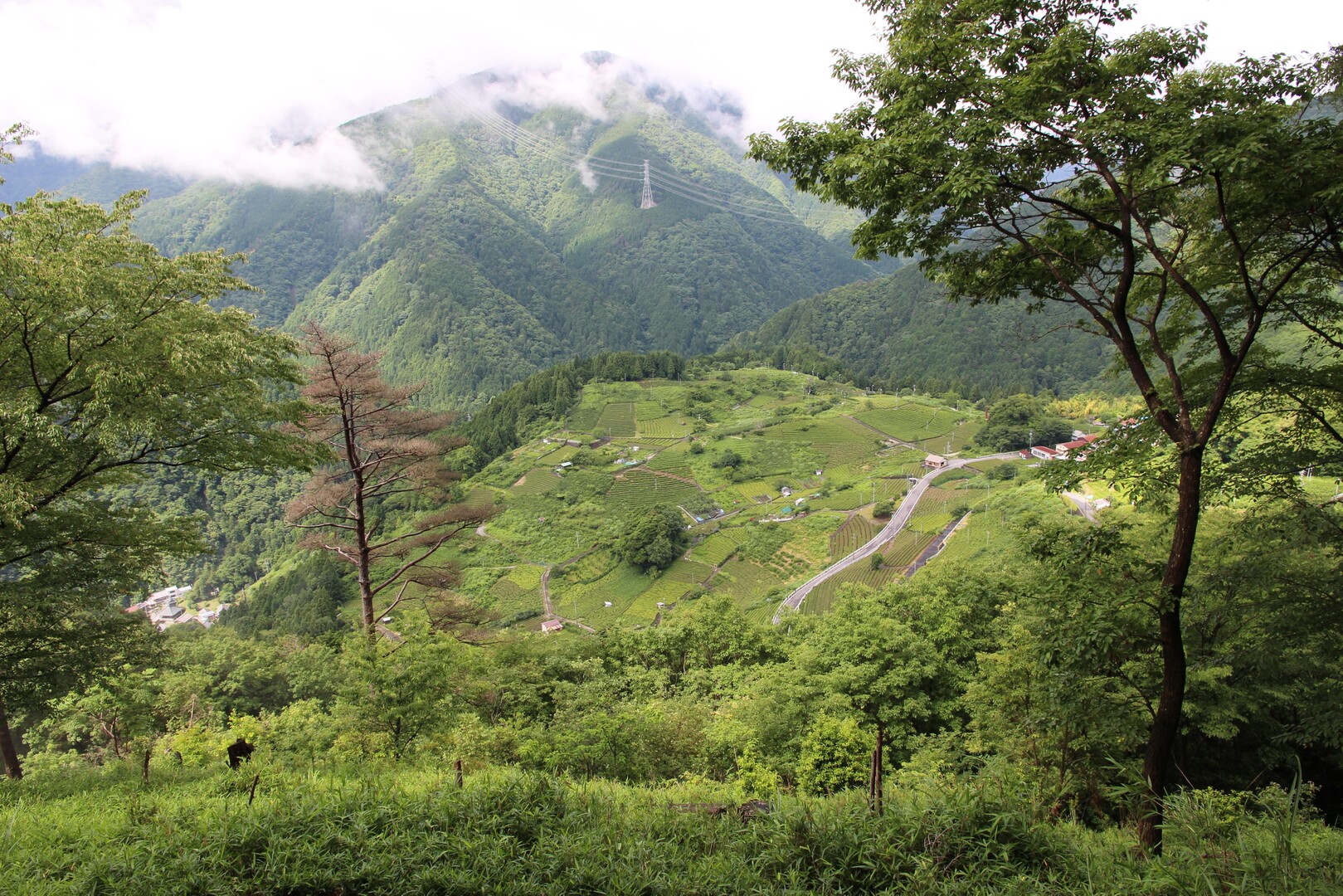 岐阜のマチュピチュ / YYさんの鍋倉山・飯盛山の活動データ | YAMAP / ヤマップ