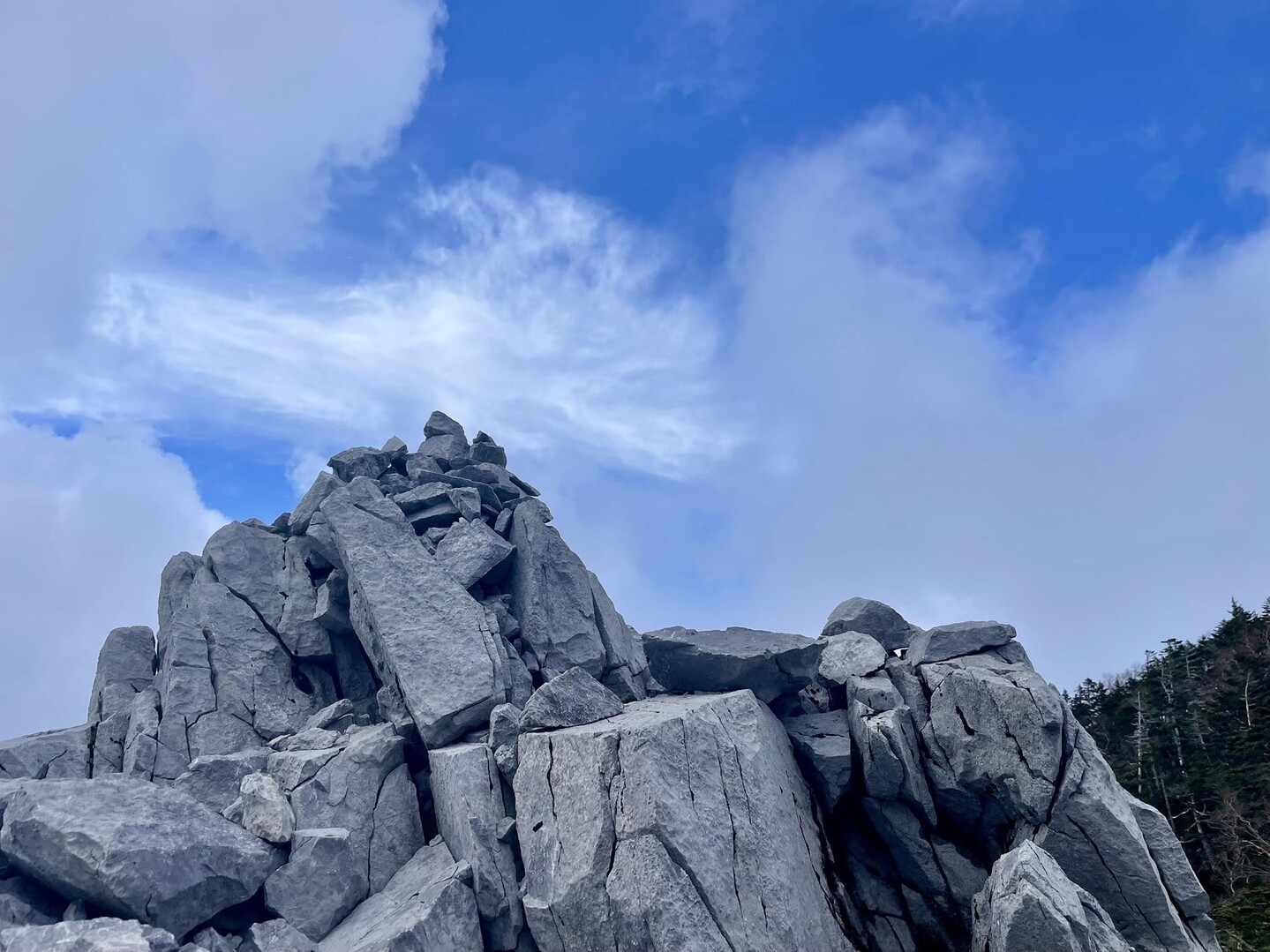 光岳+仁田岳 避難小屋泊 芝沢ゲート / ダーハマさんの聖岳・大沢岳・光岳の活動データ | YAMAP / ヤマップ