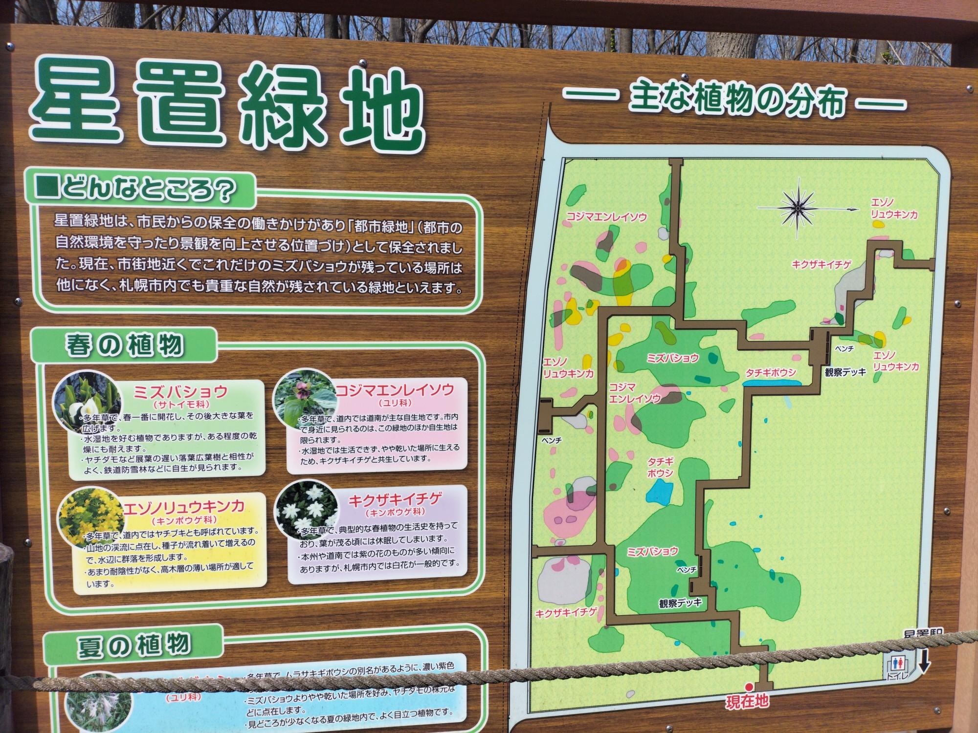 先日尻場山でお会いした「はなちんさん」が... / satoomoさんのモーメント | YAMAP / ヤマップ