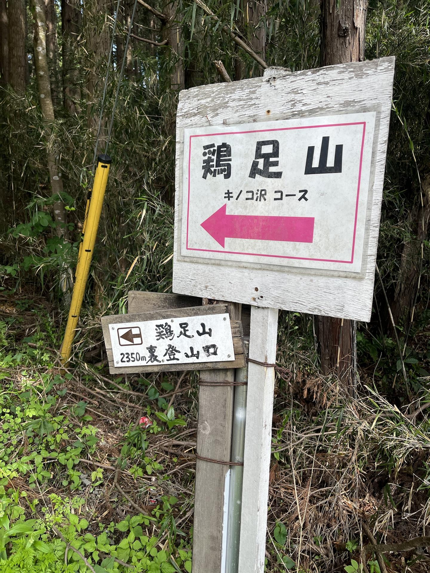 鶏足山 / hanさんの焼森山・鶏足山の活動データ | YAMAP / ヤマップ