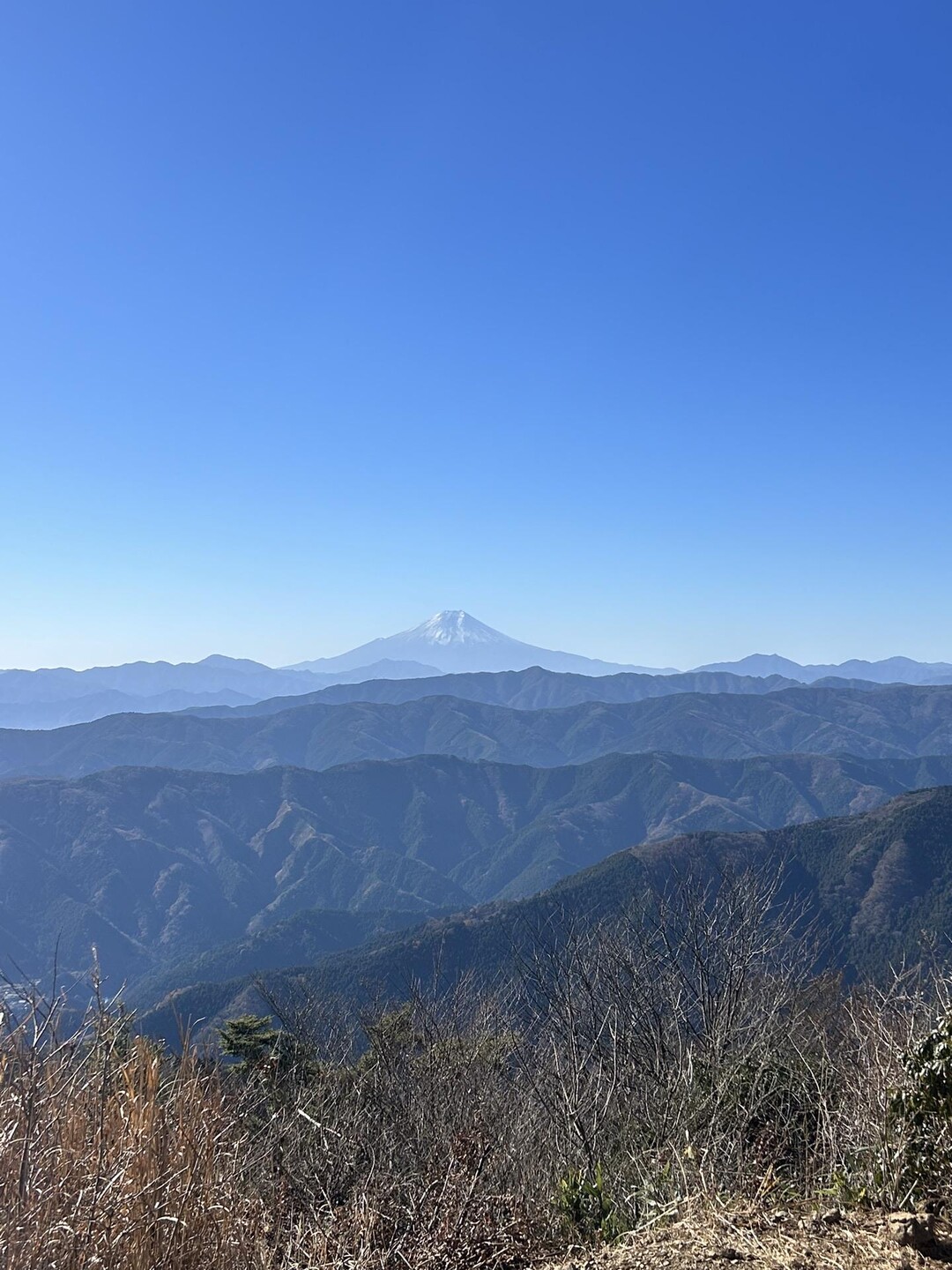 御岳山・大岳山 / ritocotoさんの大岳山・御岳山・御前山の活動データ | YAMAP / ヤマップ