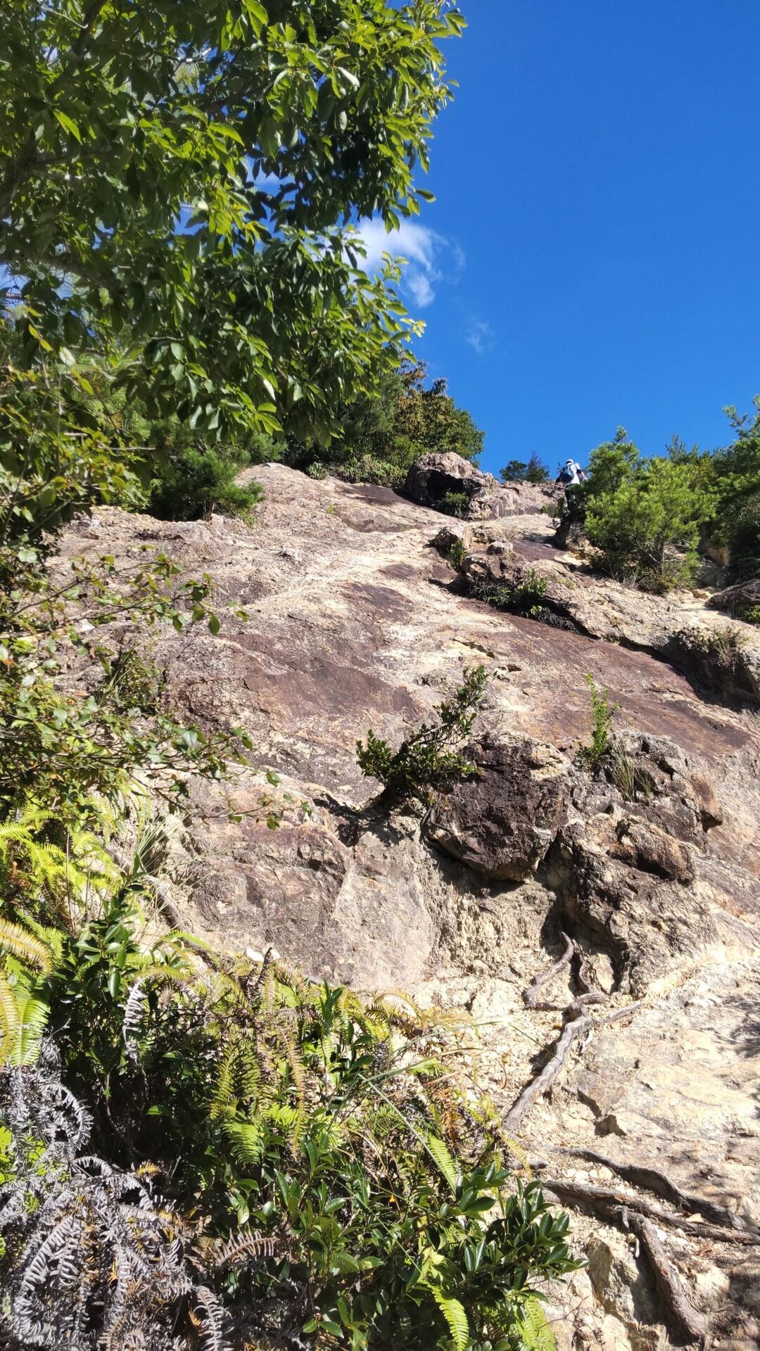 STM繋ぎ(中山連山) / なっぱさんの中山・大峰山の活動データ | YAMAP / ヤマップ