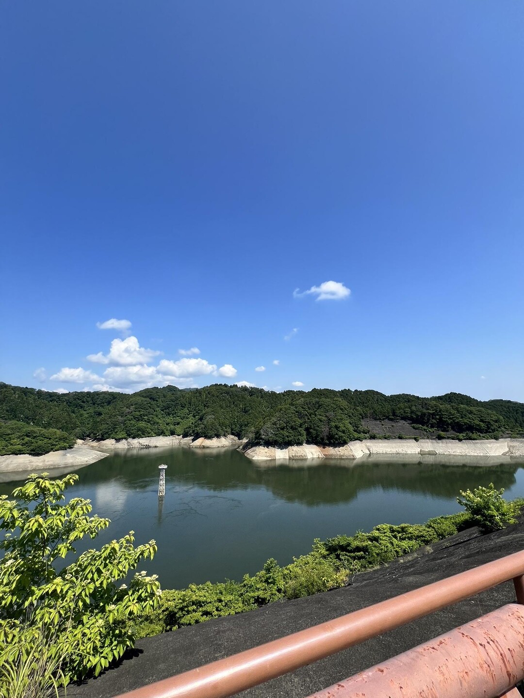 牡龍籠山・草戸山・榎窪山・雌龍籠山 / muneさんの高尾山・陣馬山・景信山の活動データ | YAMAP / ヤマップ