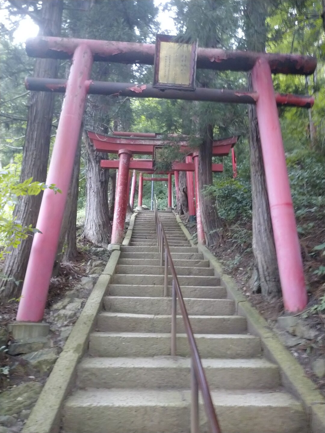 千歳山 / nochさんの千歳山・猿岡山・戸神山の活動データ | YAMAP / ヤマップ