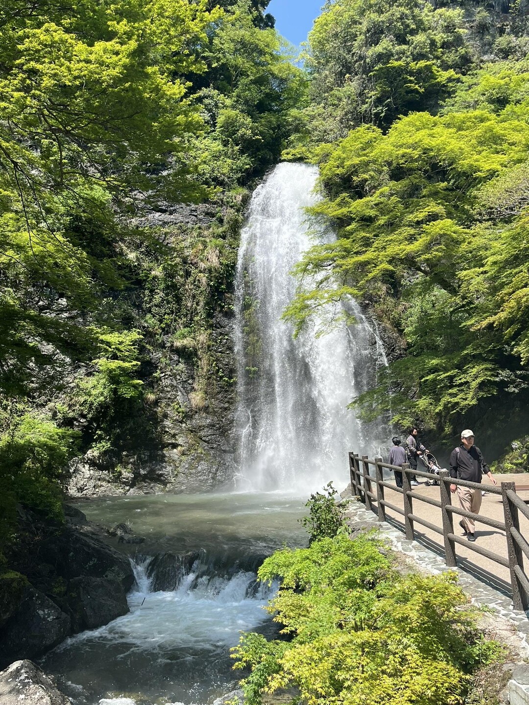 五月山・六個山・箕面山 / まちゃまちゃ♬mmmnさんの六個山・鉢伏山・明ヶ田尾山・五月山の活動データ | YAMAP / ヤマップ