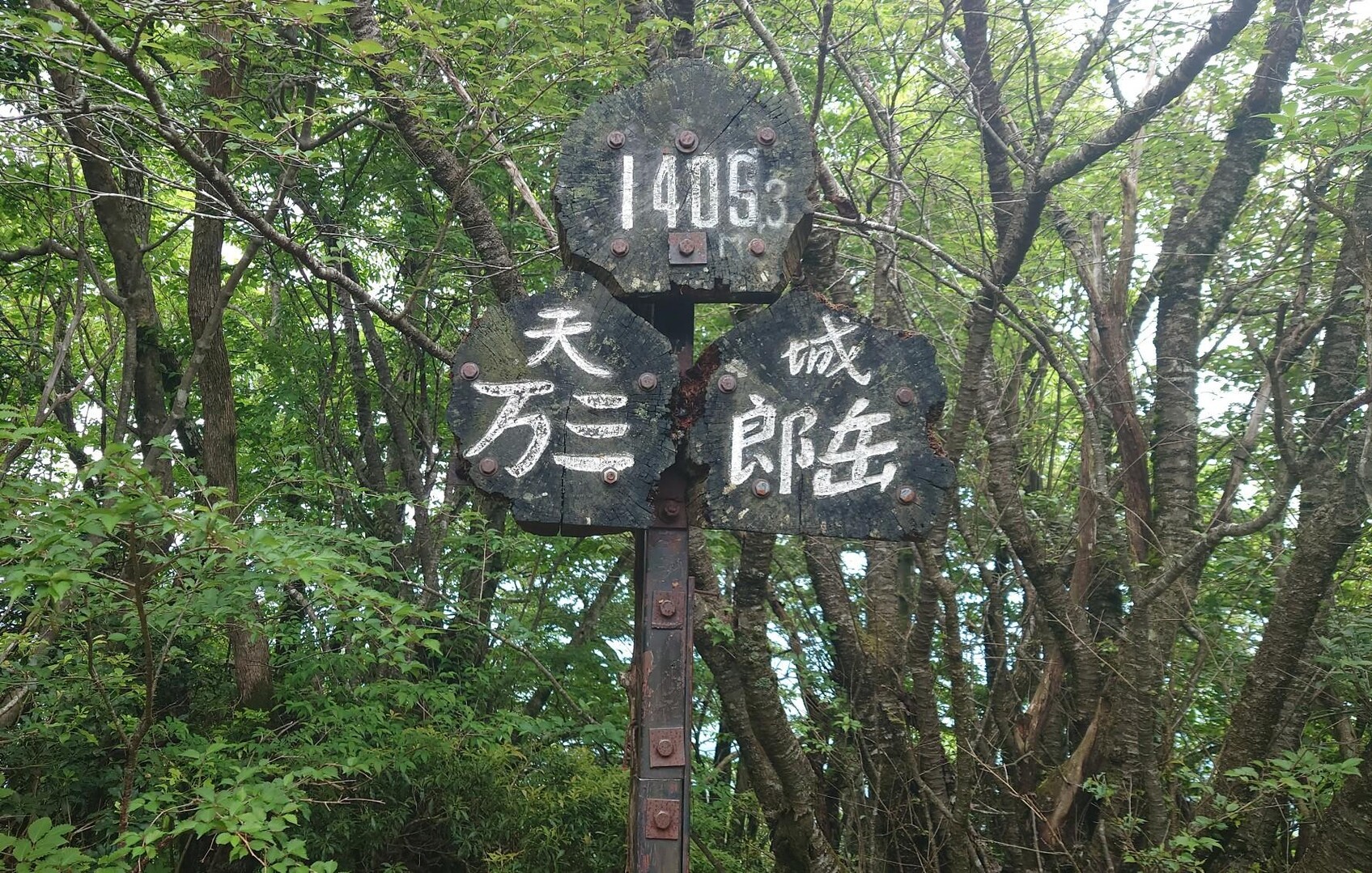 天城山 / ほたるさんの天城山・鉢ノ山・三筋山の活動データ | YAMAP / ヤマップ