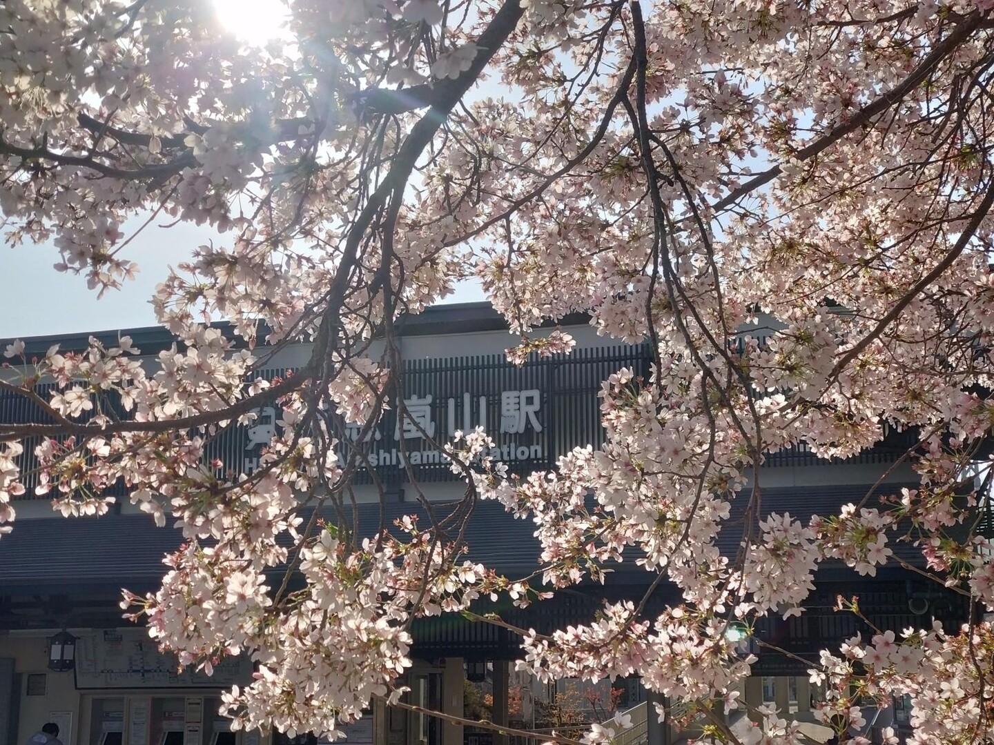 松尾山・嵐山 / omifuji4さんの京都一周トレイルの活動データ | YAMAP / ヤマップ