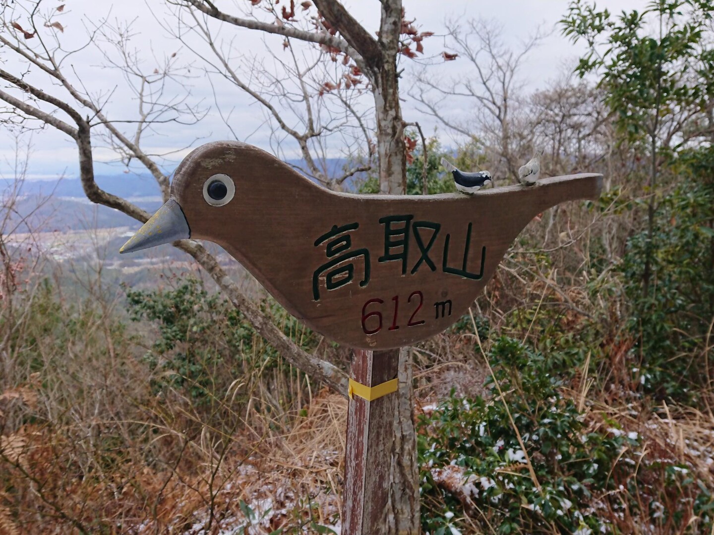 高取山・向山（本峰）・向山（東嶺） / Johnさんの八ツ尾山・高取山・正楽寺山の活動データ | YAMAP / ヤマップ