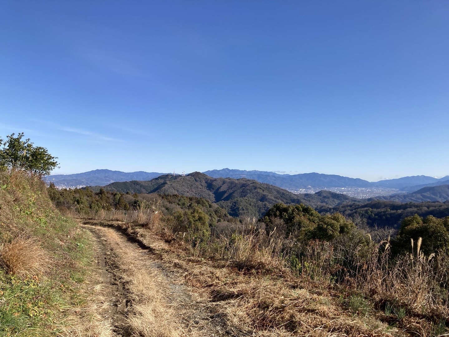 ベツソ山・谷上山・笹ヶ平山・水晶ヶ森・行道山 / Ypaaさんの四国遍路その14の活動データ | YAMAP / ヤマップ