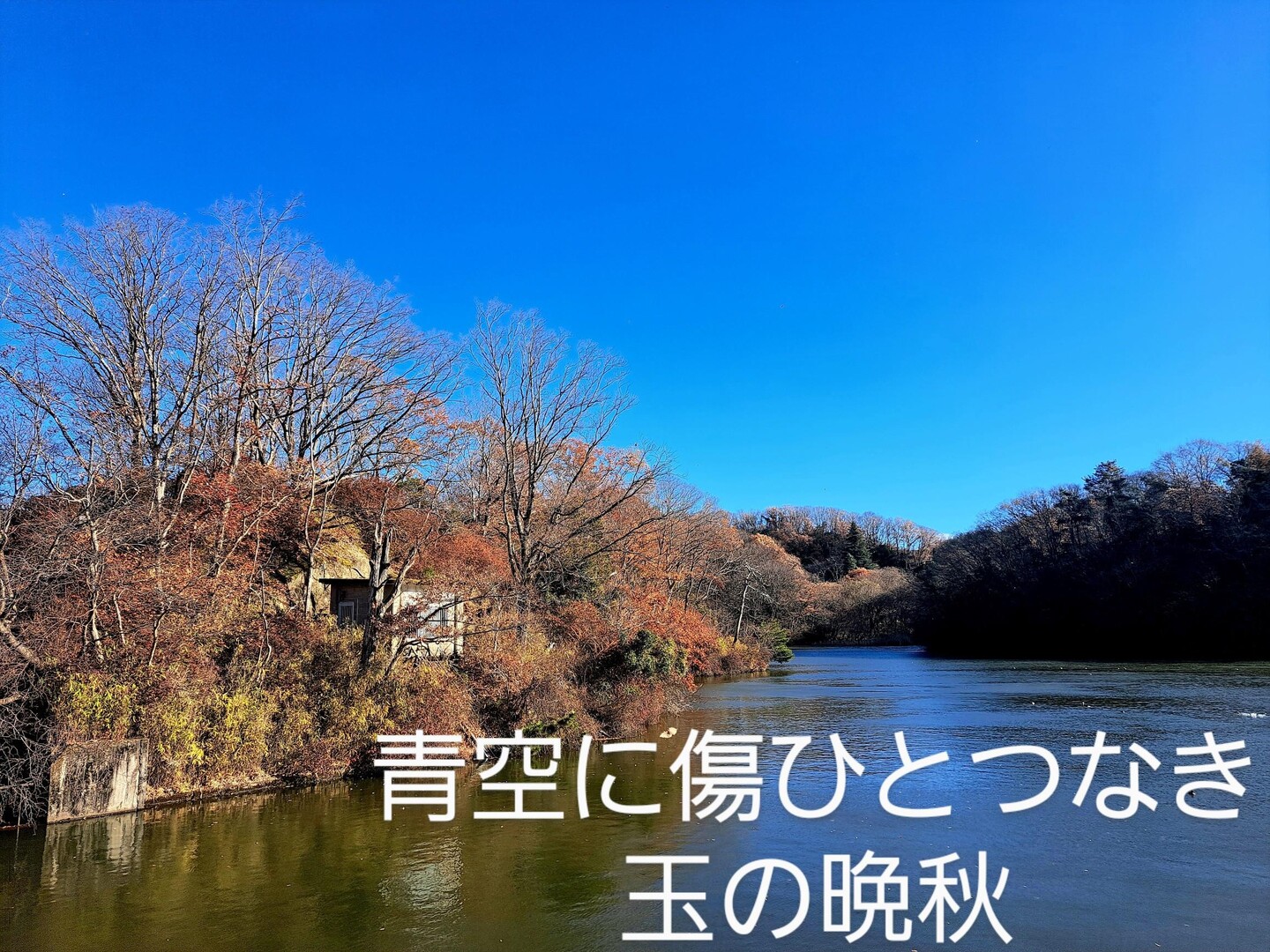 交野山への登り道には霜柱もたっていて寒い... / 姫花さんのモーメント | YAMAP / ヤマップ