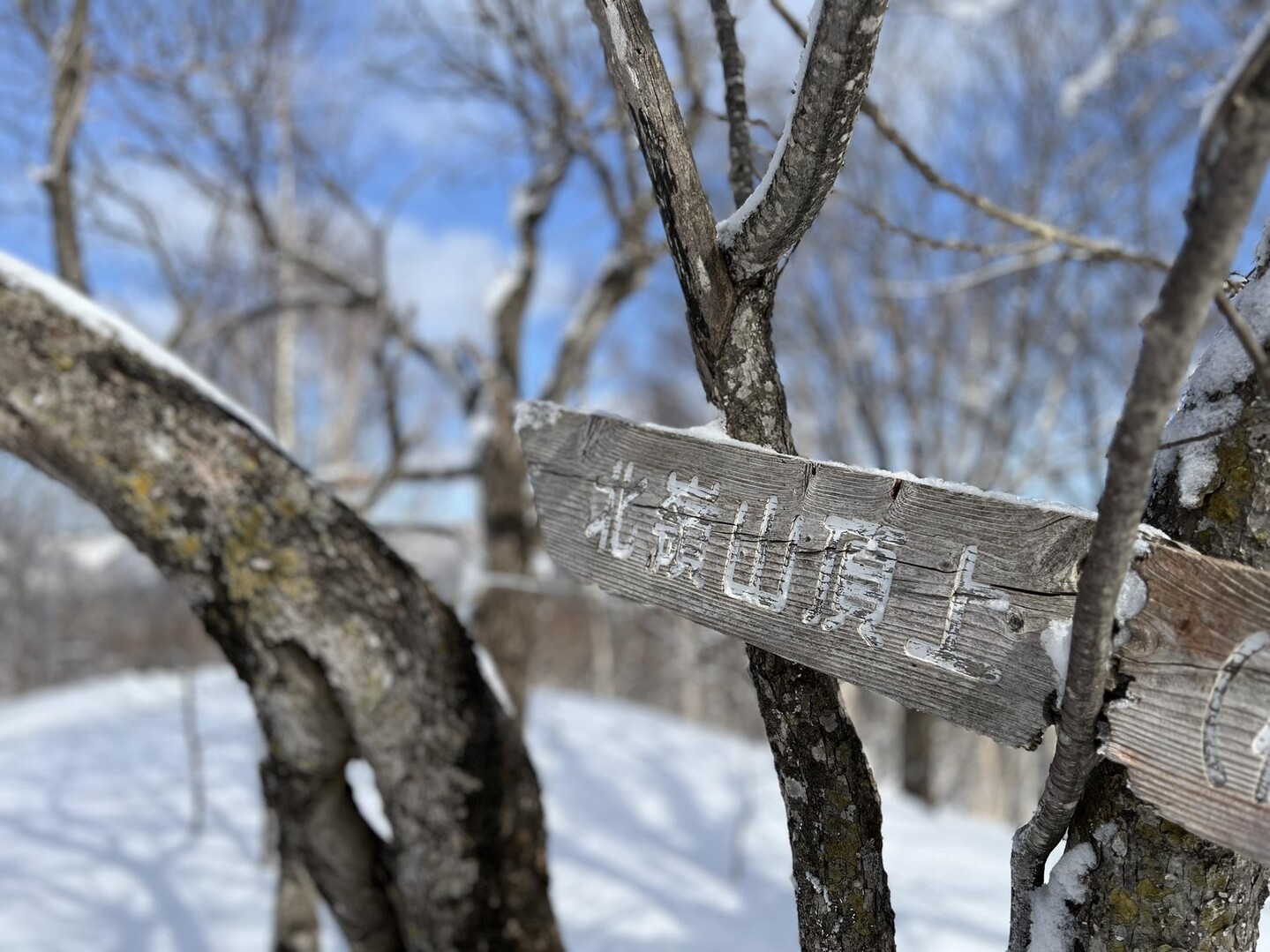 北嶺山 / FUM!さんの北嶺山・班渓山の活動データ | YAMAP / ヤマップ