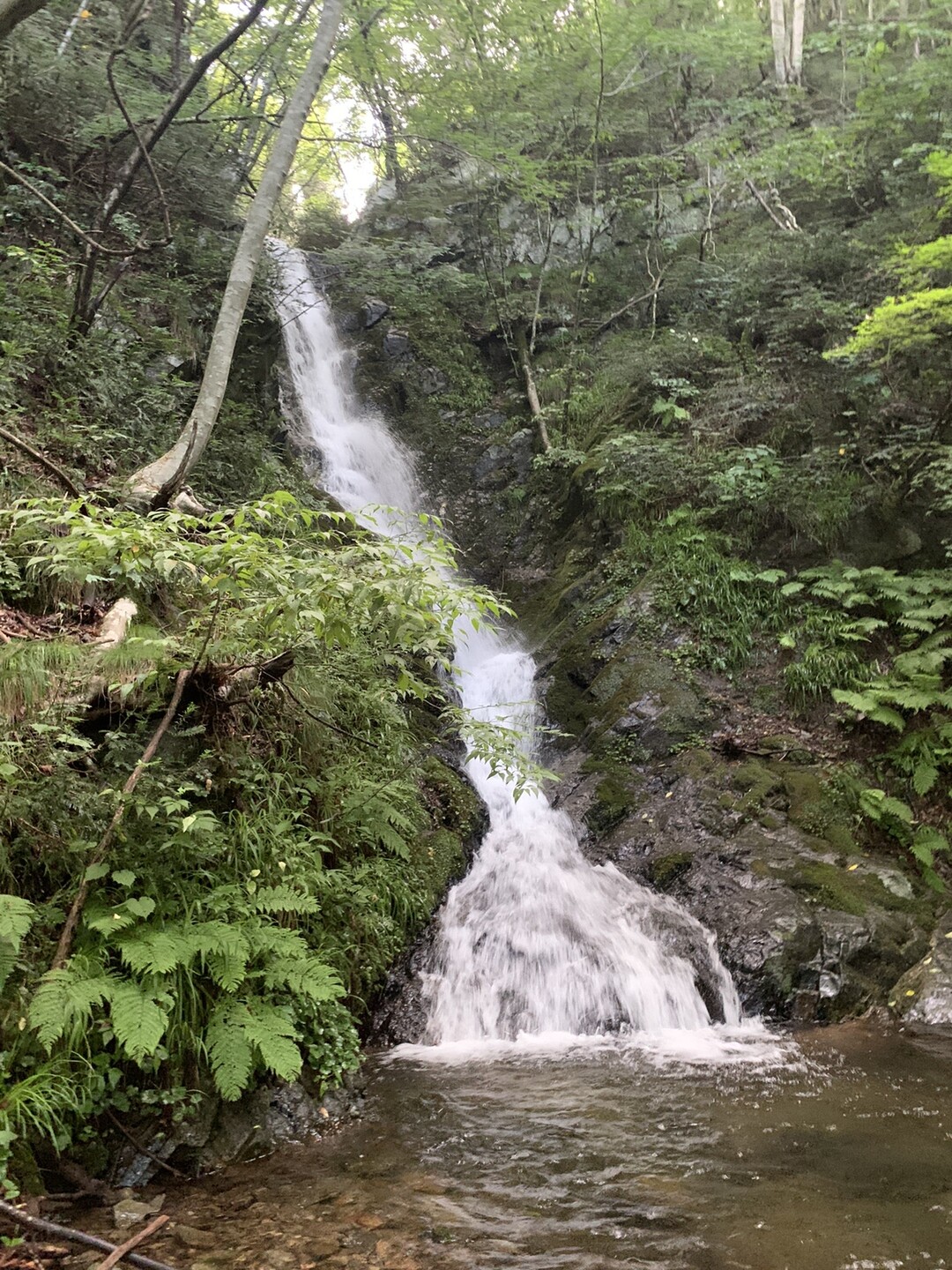 一の滝 庄原市福田頭 / ktakuさんのモーメント | YAMAP / ヤマップ