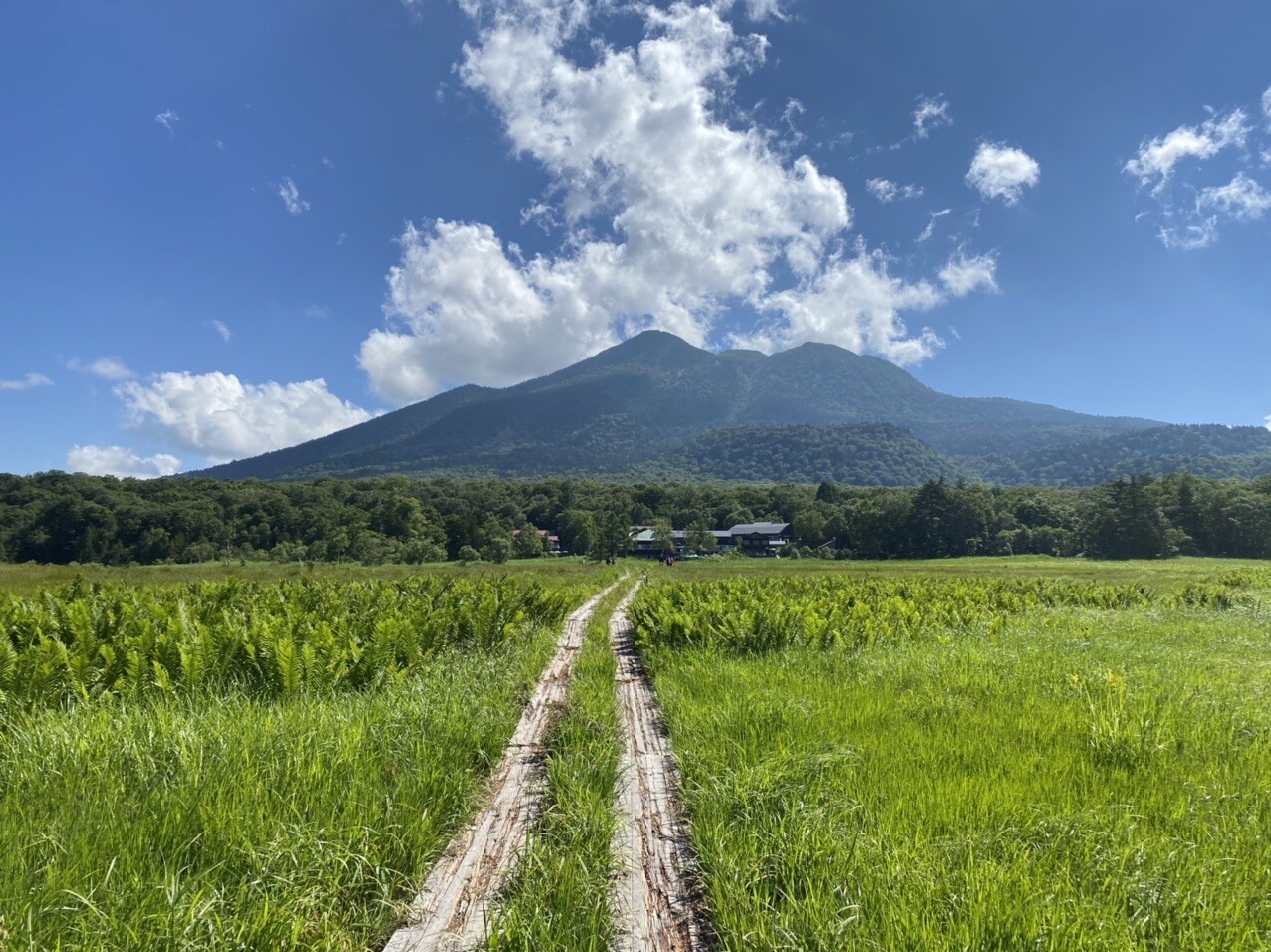 第1回 木道競歩大会 40kmの部 / かげちゃさんの尾瀬・燧ヶ岳の活動データ | YAMAP / ヤマップ