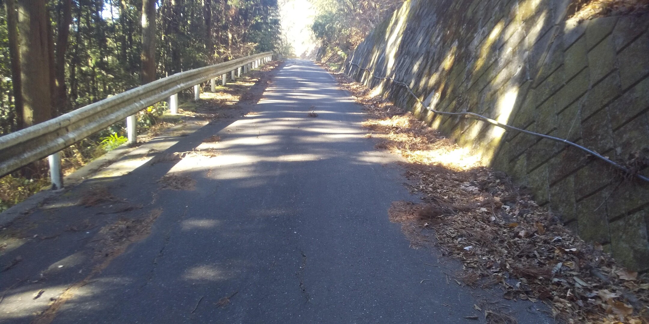 大霧山 / htさんの堂平山・笠山（乳房山）・大霧山の活動データ | YAMAP / ヤマップ