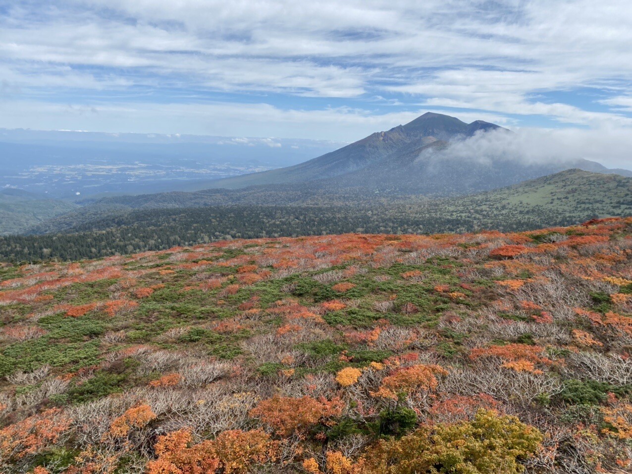 大松倉山・三ッ石山 / ninさんの岩手山・黒倉山・鞍掛山の活動データ | YAMAP / ヤマップ