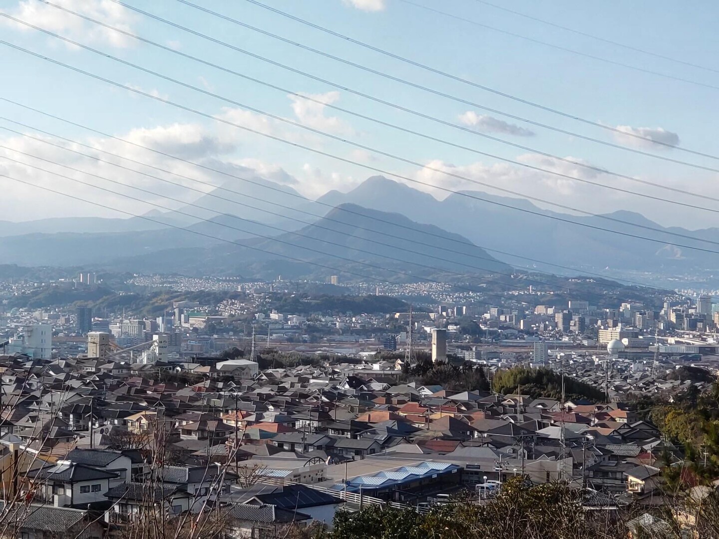 今年もよろしく 高尾山🥰 / yanさんの九六位山の活動データ | YAMAP / ヤマップ