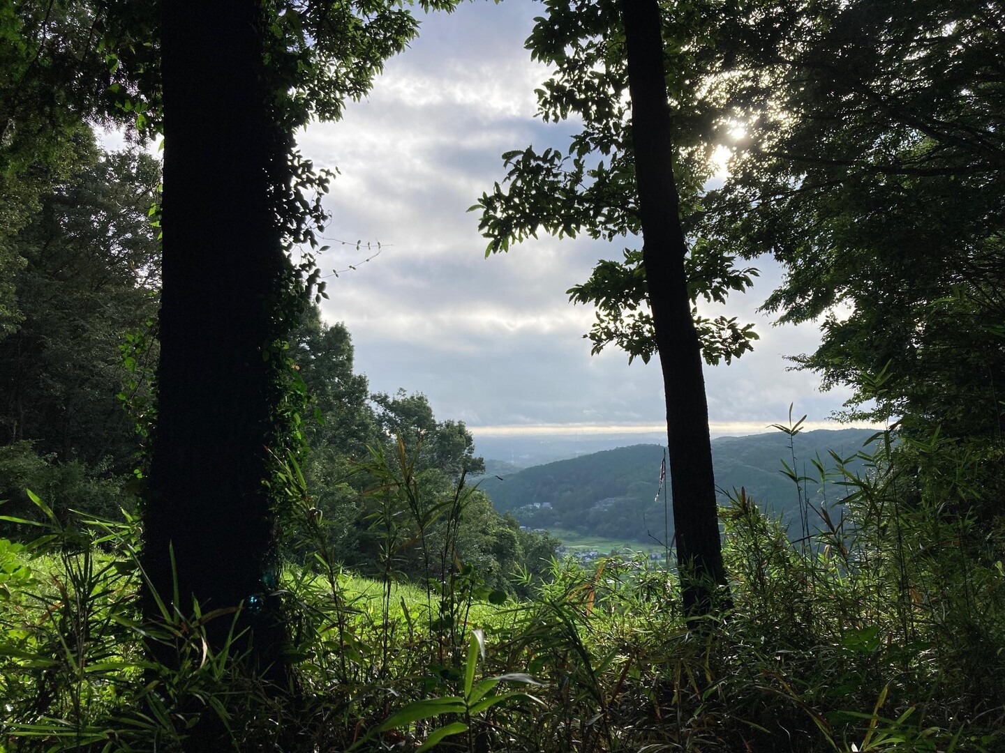 taoさんの投稿したフィールドメモ | YAMAP / ヤマップ