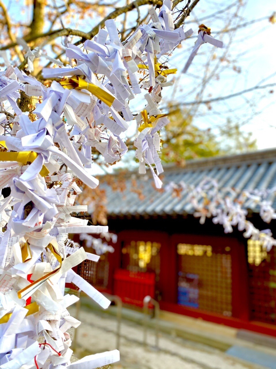 初詣😊 近くにこんなとこがあったとは！... / - ̗̀ ☺︎ ̖́-Sen_sun- ̗̀ ☺︎ ̖́-さんのモーメント | YAMAP / ヤマップ