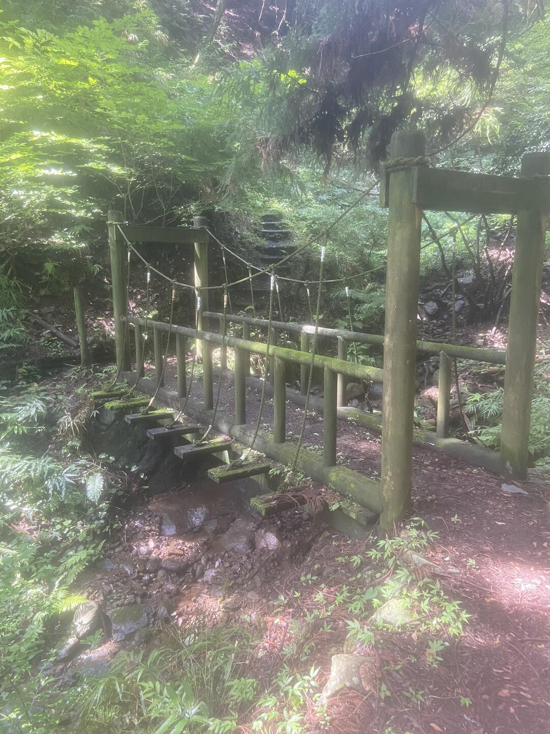 桜山・白山 / yo-skさんの大山の活動データ | YAMAP / ヤマップ