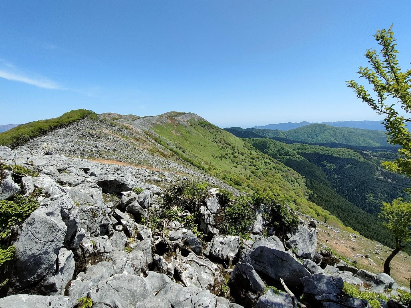 絶景の霊仙山 / Azuさんの霊仙山の活動データ | YAMAP / ヤマップ