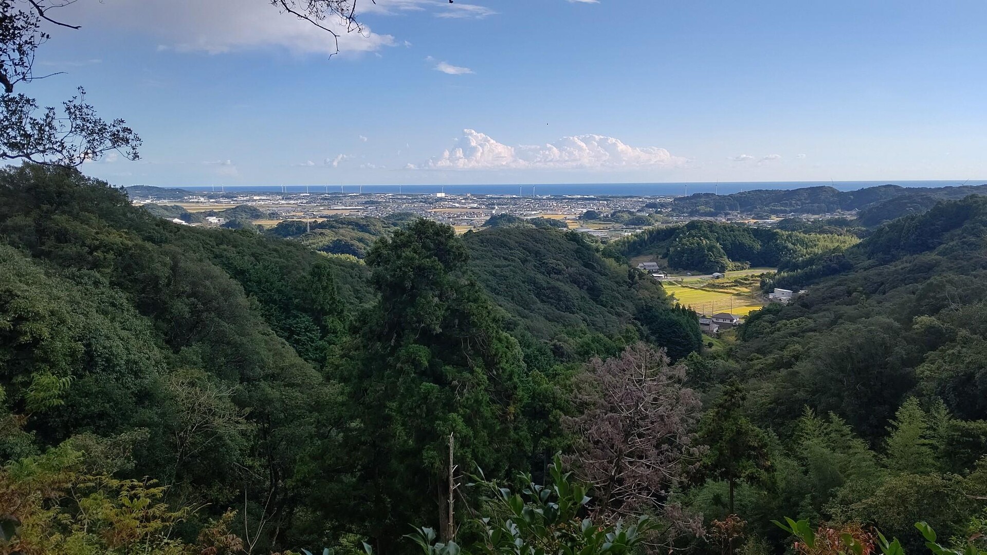 高天神山・楞厳寺山 / samさんの小笠山の活動データ | YAMAP / ヤマップ