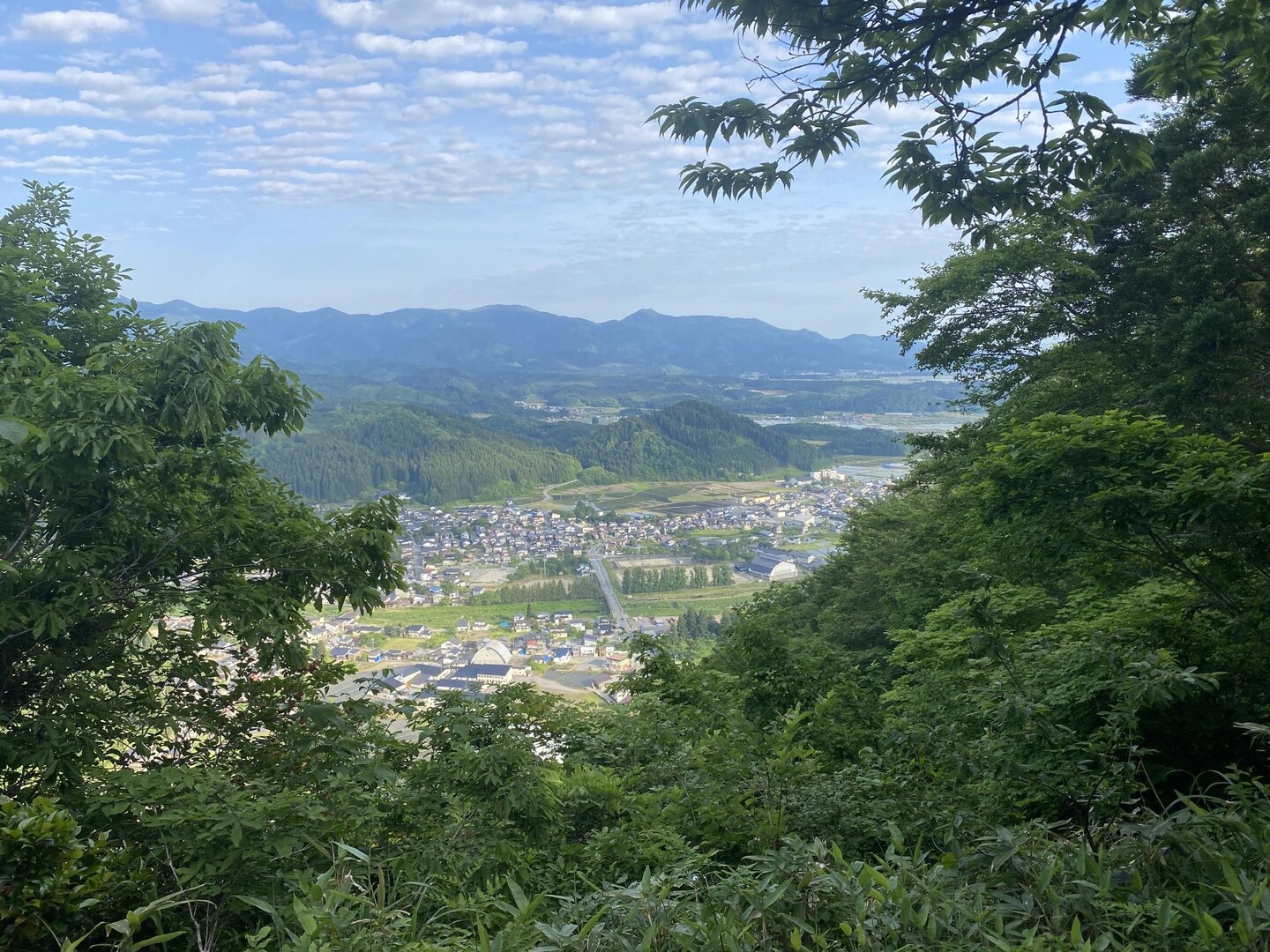 薬師山R6-3 / K.Racingさんの薬師山の活動データ | YAMAP / ヤマップ