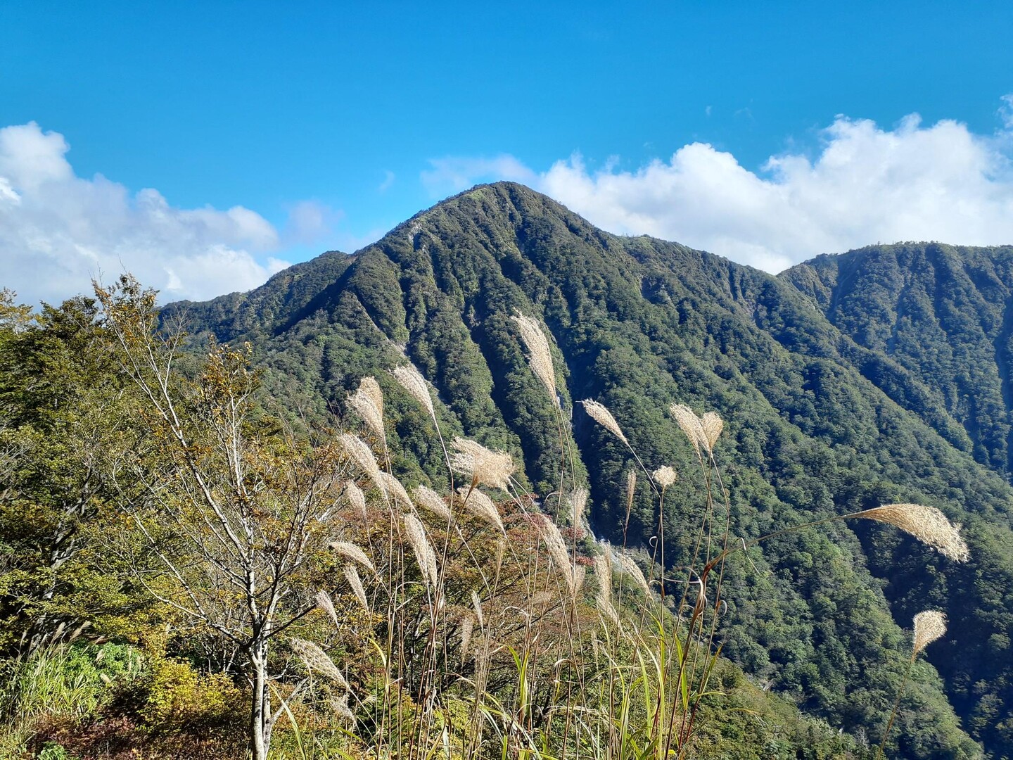 檜洞丸・蛭ヶ岳 / kaさんの大室山・畦ヶ丸山・菰釣山の活動データ | YAMAP / ヤマップ
