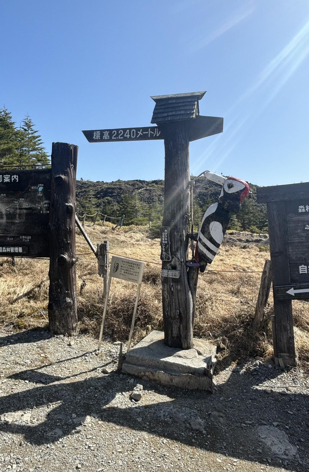 北横岳周回（北横岳・大岳・三ツ岳・雨池山・縞枯山・茶臼山) / ichao( ｰ̀дｰ́)وさんの蓼科山・横岳・縞枯山の活動データ | YAMAP / ヤマップ