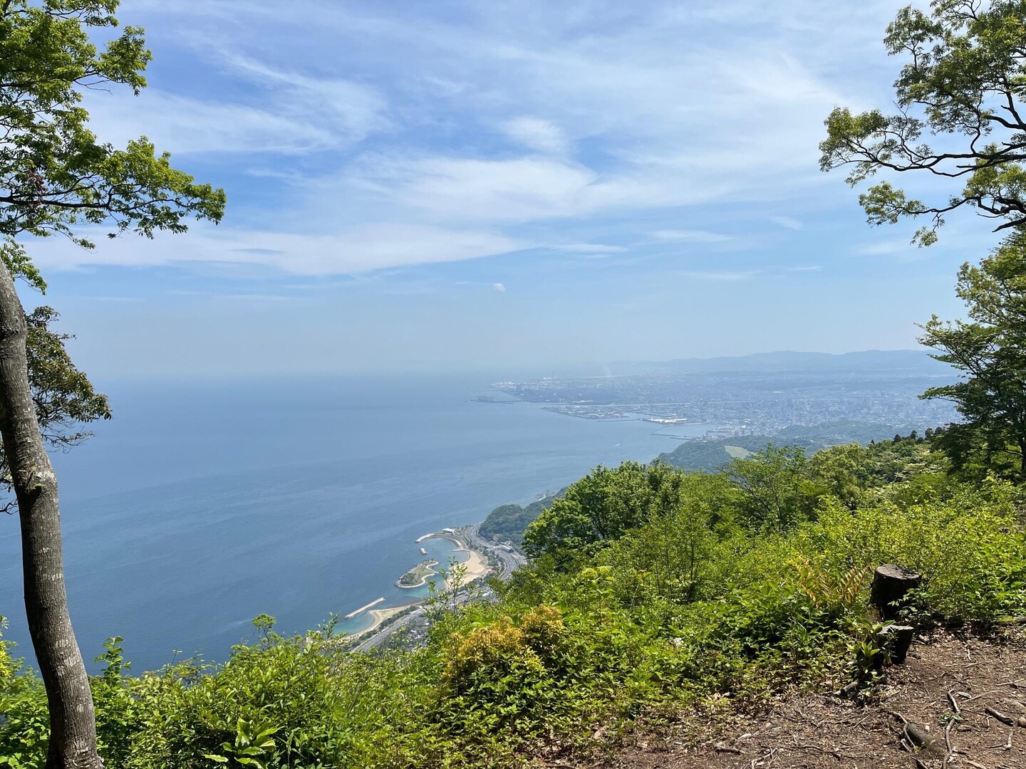 にぎやけぇな高崎山🐵🐶 / Tazさんの由布市の活動データ | YAMAP / ヤマップ