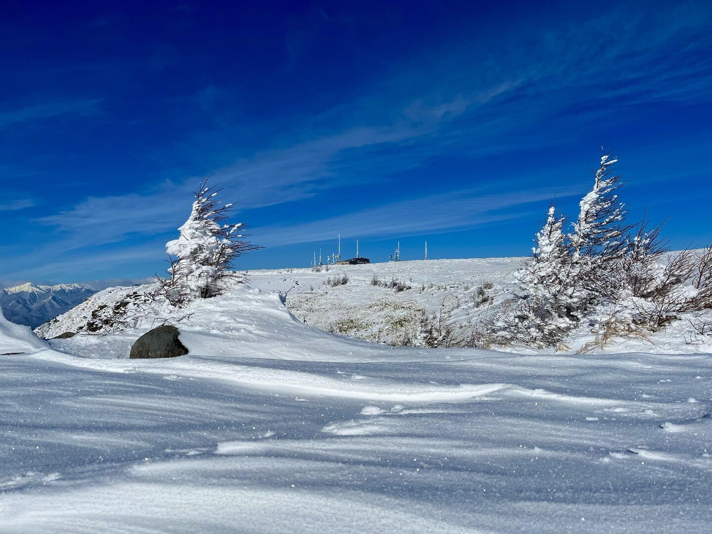 2024登り納め 美ヶ原（王ヶ頭） / kazu51さんの美ヶ原の活動データ | YAMAP / ヤマップ