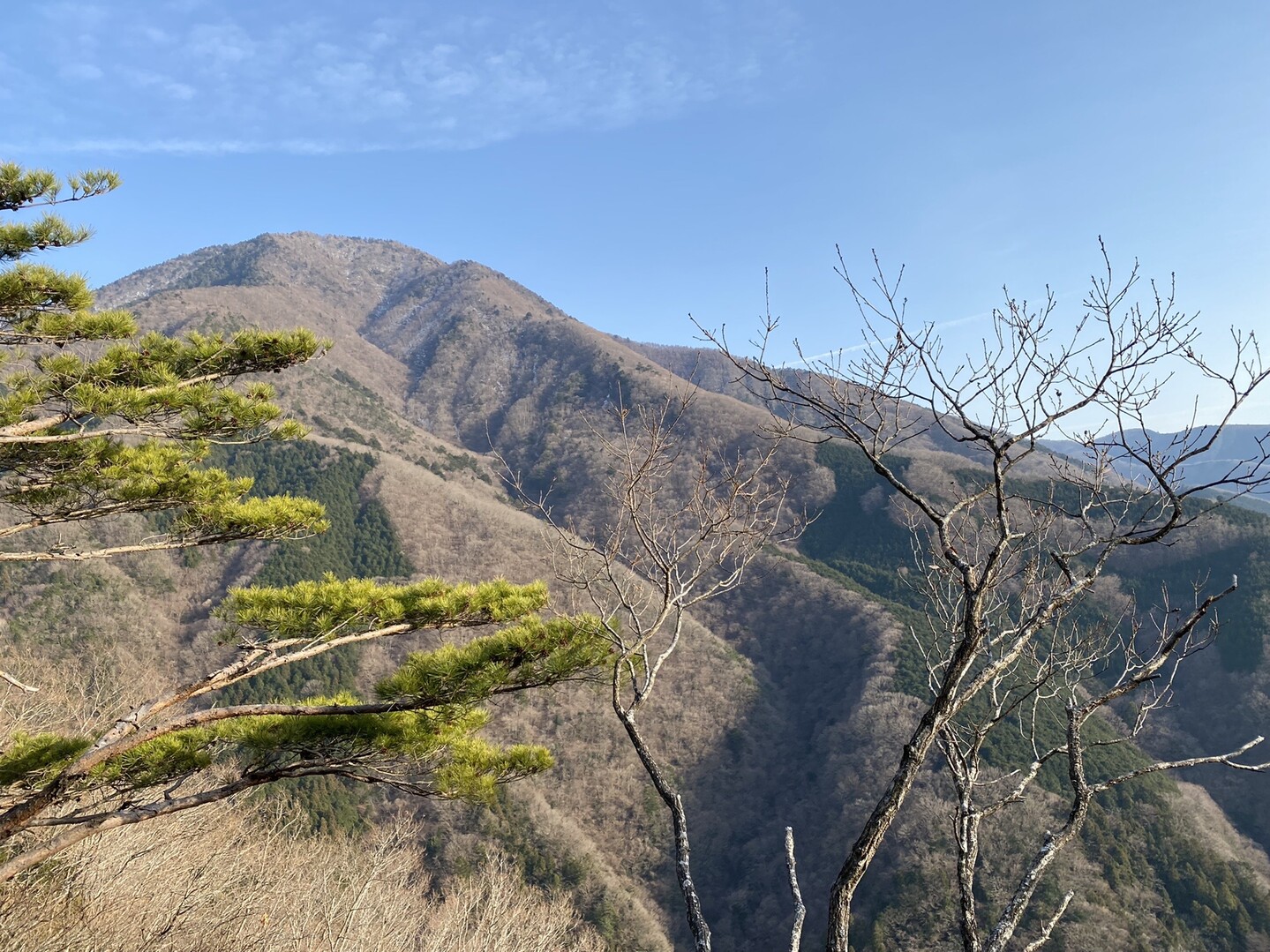 五老峰＆大ガレの頭⛰満喫周回ルート😆 / reoさんの毛無山・雨ヶ岳・竜ヶ岳の活動日記 | YAMAP / ヤマップ