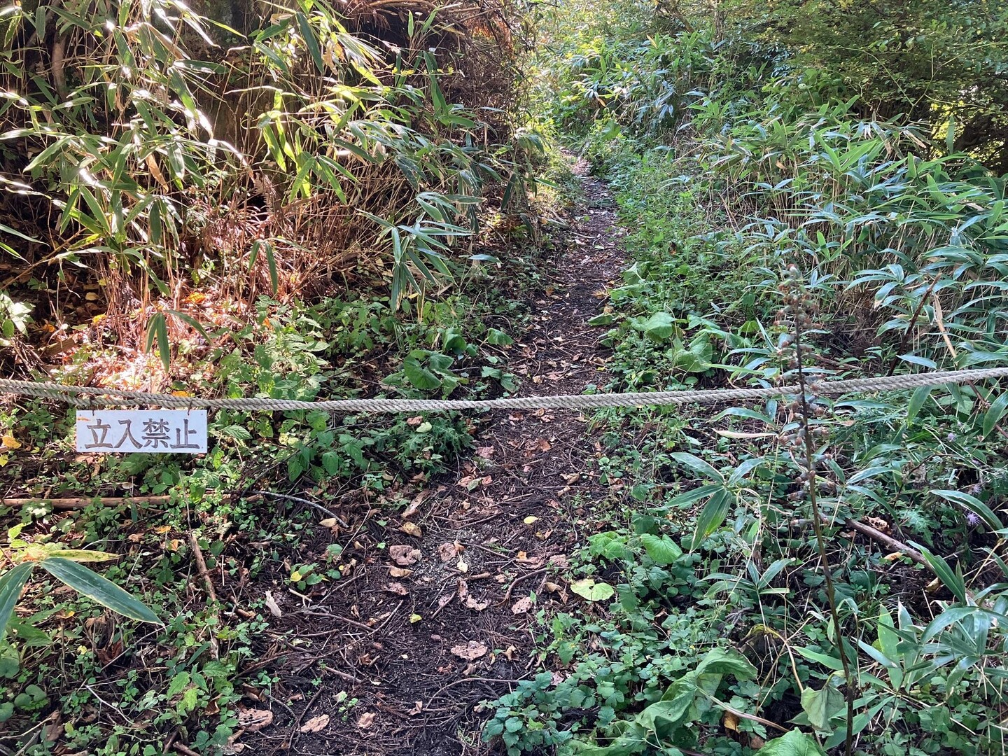 あつぼうさんの投稿したフィールドメモ | YAMAP / ヤマップ