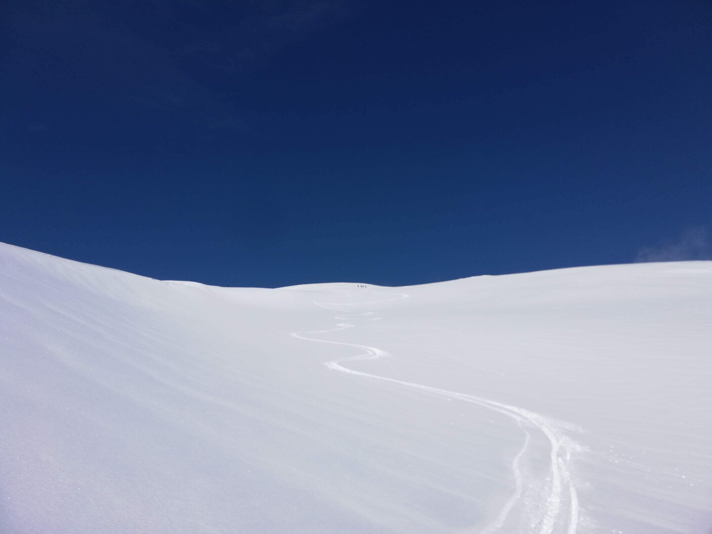 谷川岳 西黒沢BC～なんちゃって1番乗り～ / Mt.yuさんの谷川岳・七ツ小屋山・大源太山の活動日記 | YAMAP / ヤマップ