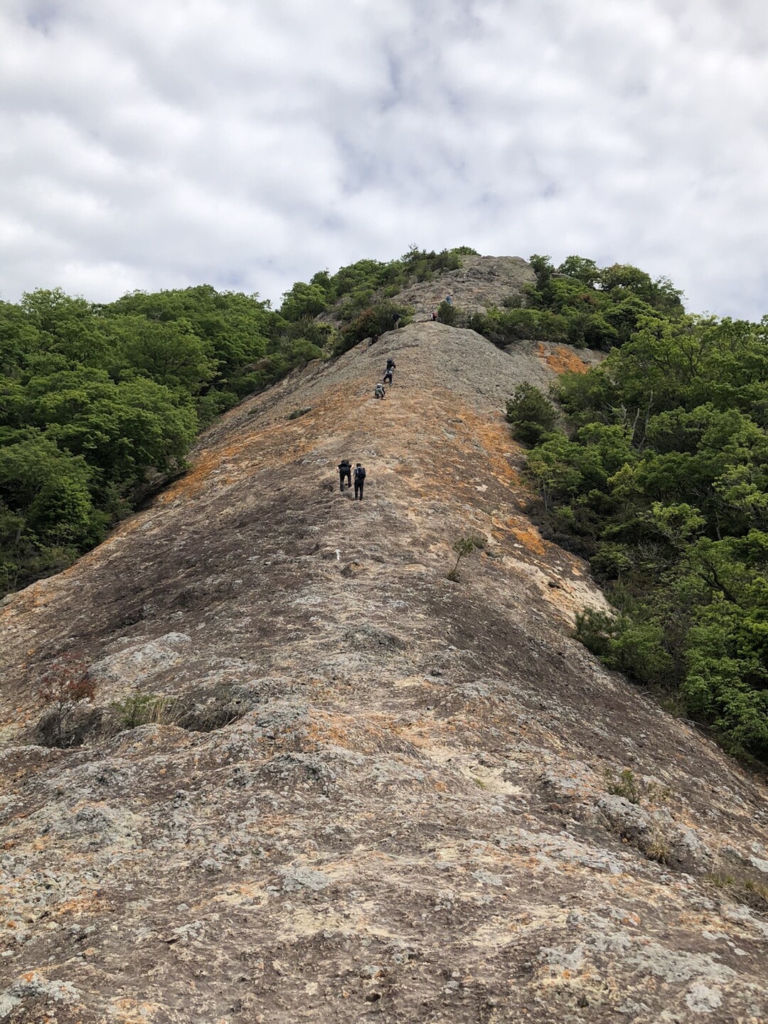 総山・アンテナ山・惣山(小野富士)・紅山 / umi chanさんの小野アルプス（紅山・惣山）の活動データ | YAMAP / ヤマップ