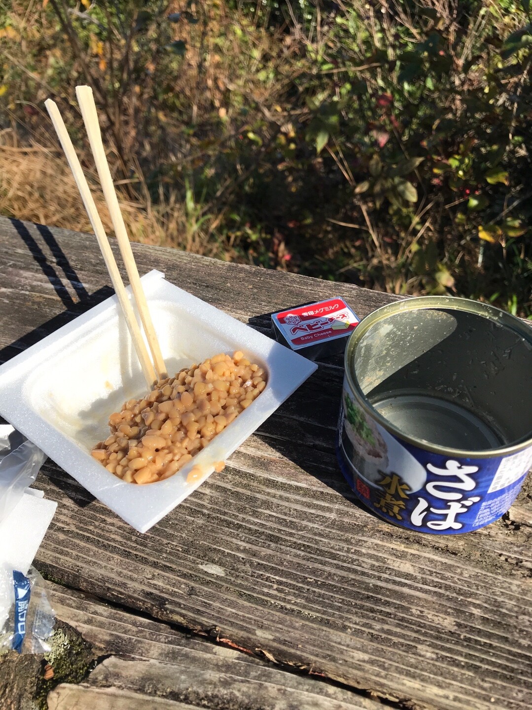 二ノ岳・三ノ岳どんだけー / tunepswさんの金峰山・二ノ岳・三ノ岳の活動データ | YAMAP / ヤマップ