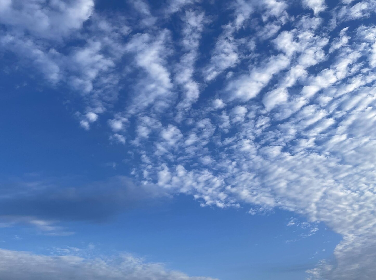 城山・杉谷山・引目山・天神山・経ヶ岳・吉江山 / JOG太郎さんの城山・経ヶ岳・天神山の活動データ | YAMAP / ヤマップ