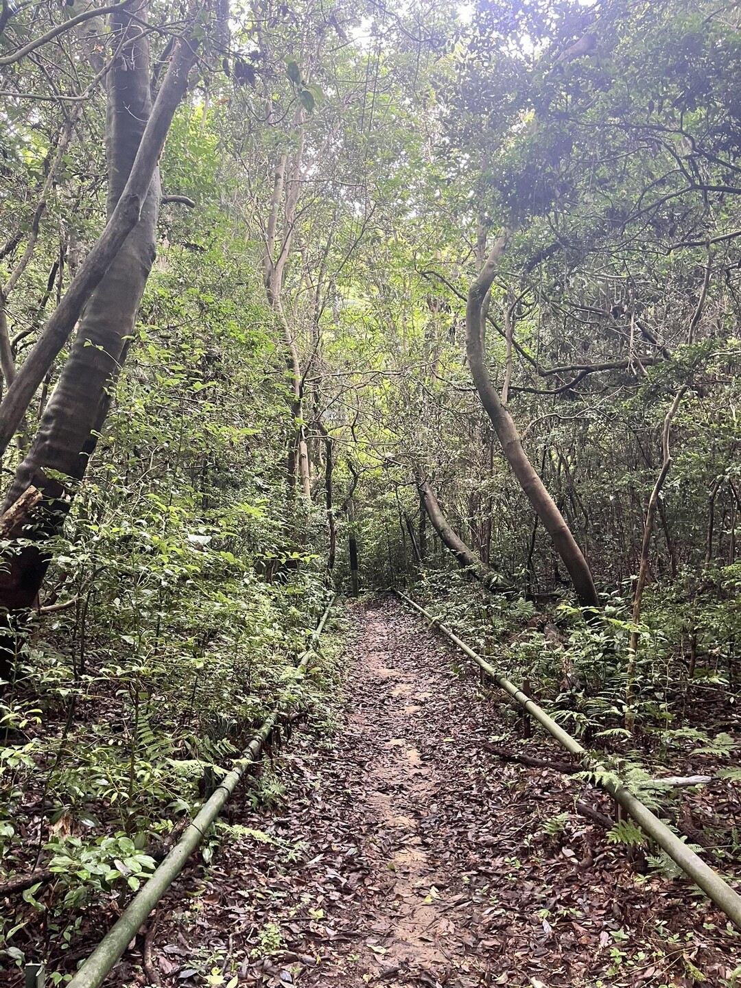 e nakaさんの投稿したフィールドメモ | YAMAP / ヤマップ